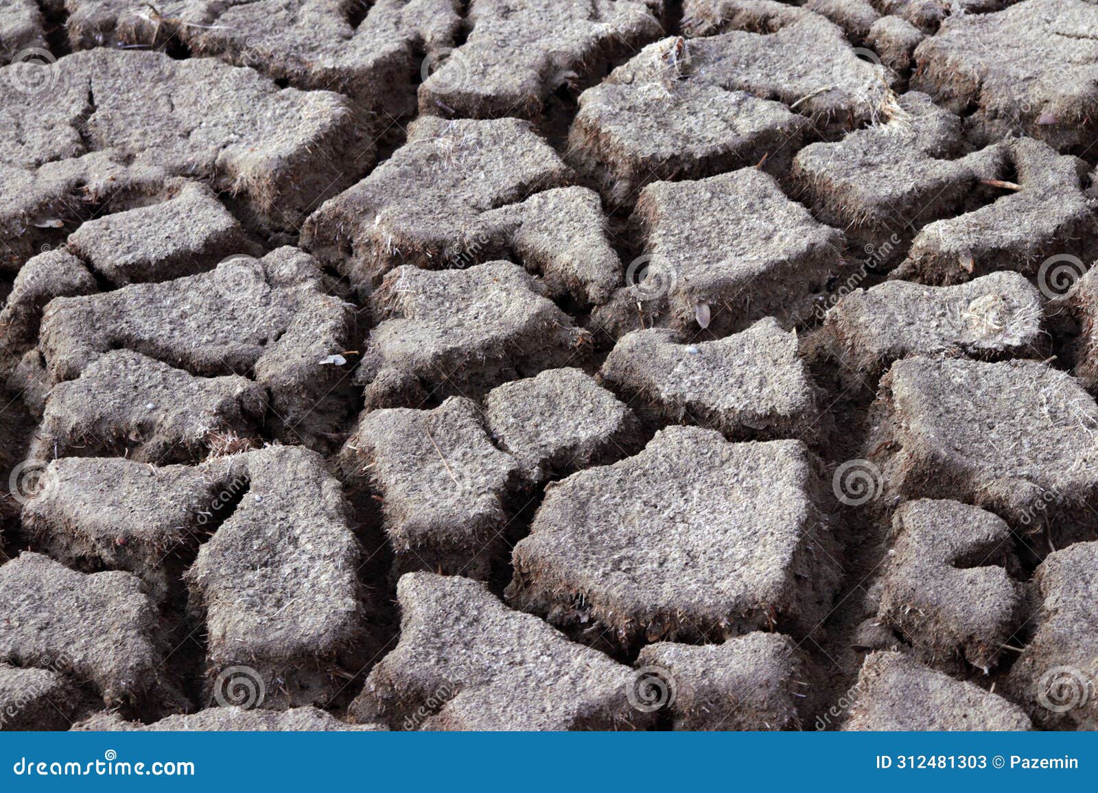 Surface of a Dried Out Soil. Environment Stock Image - Image of ...