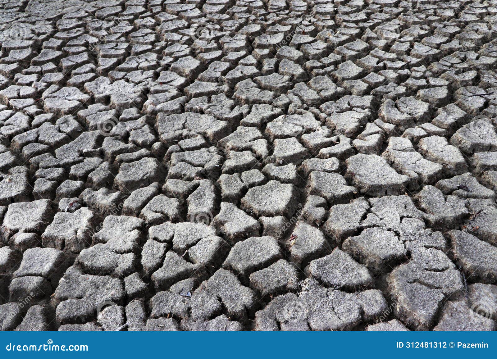 Surface of a Dried Out Soil. Environment Stock Photo - Image of concept ...