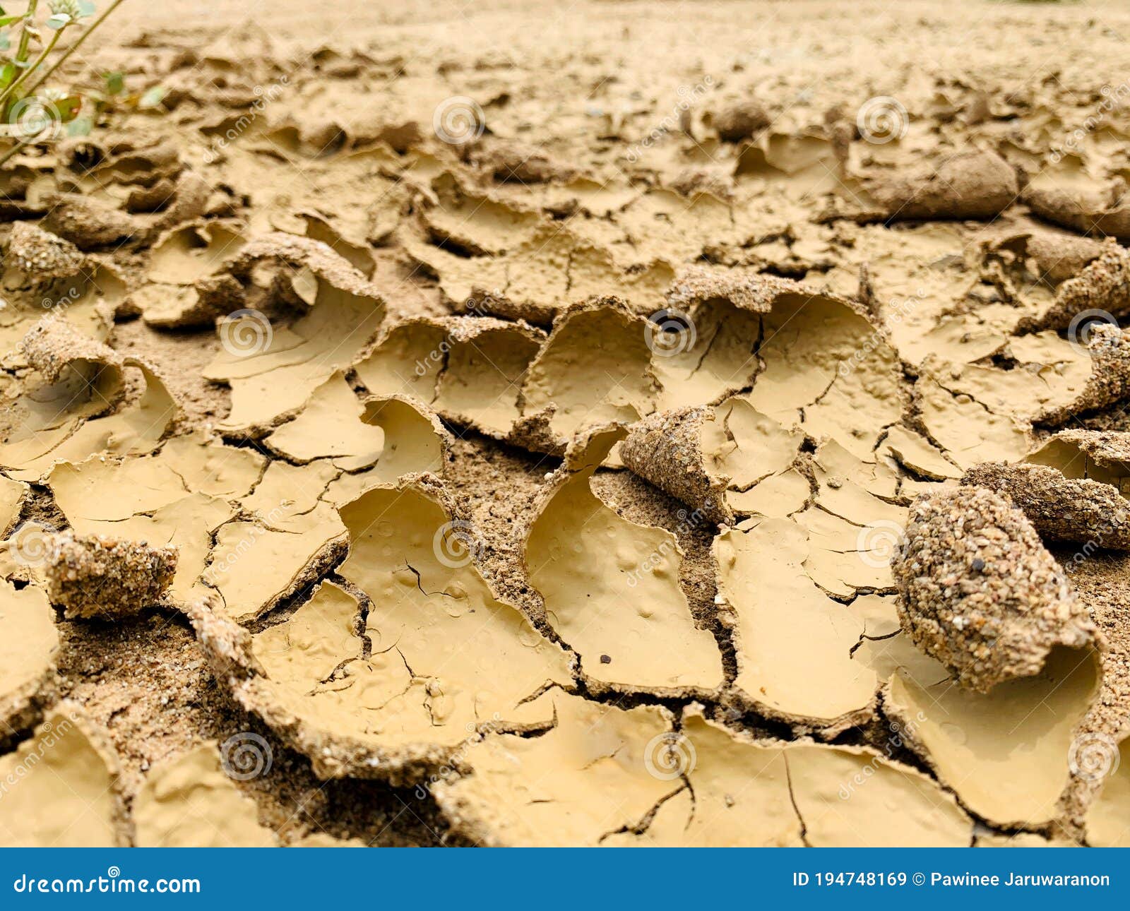 The Surface of Dry Land with Many Cracks. Stock Image - Image of nature ...