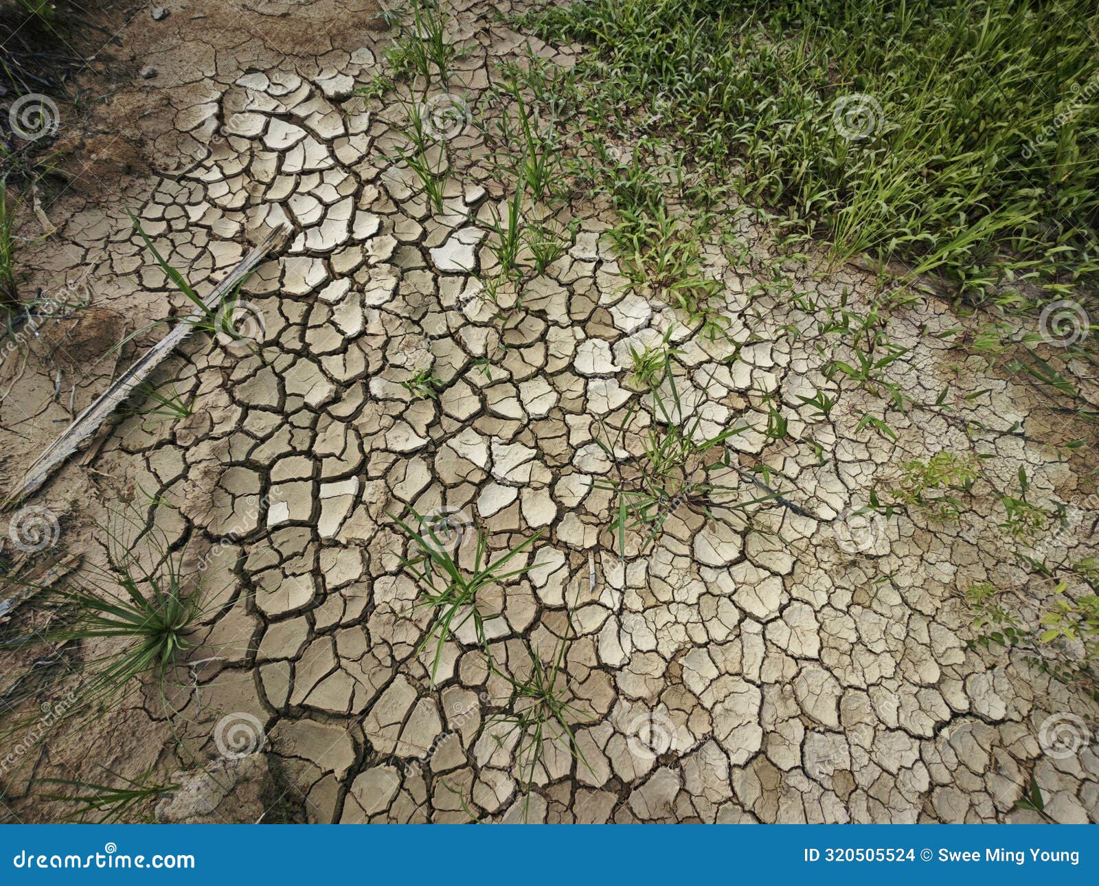 Surface Earth Soil Cracking Due To Hot Weather. Stock Photo - Image of ...
