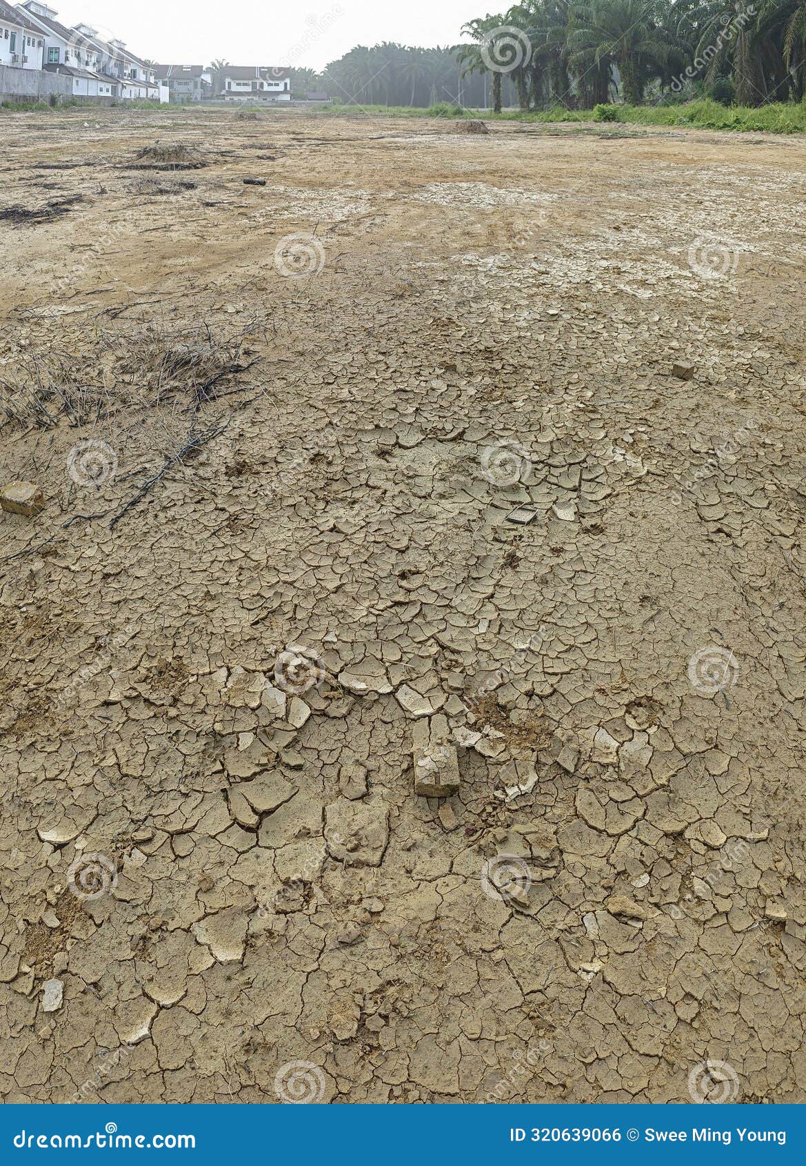 Surface Earth Soil Cracking Due To Hot Weather. Stock Photo - Image of ...
