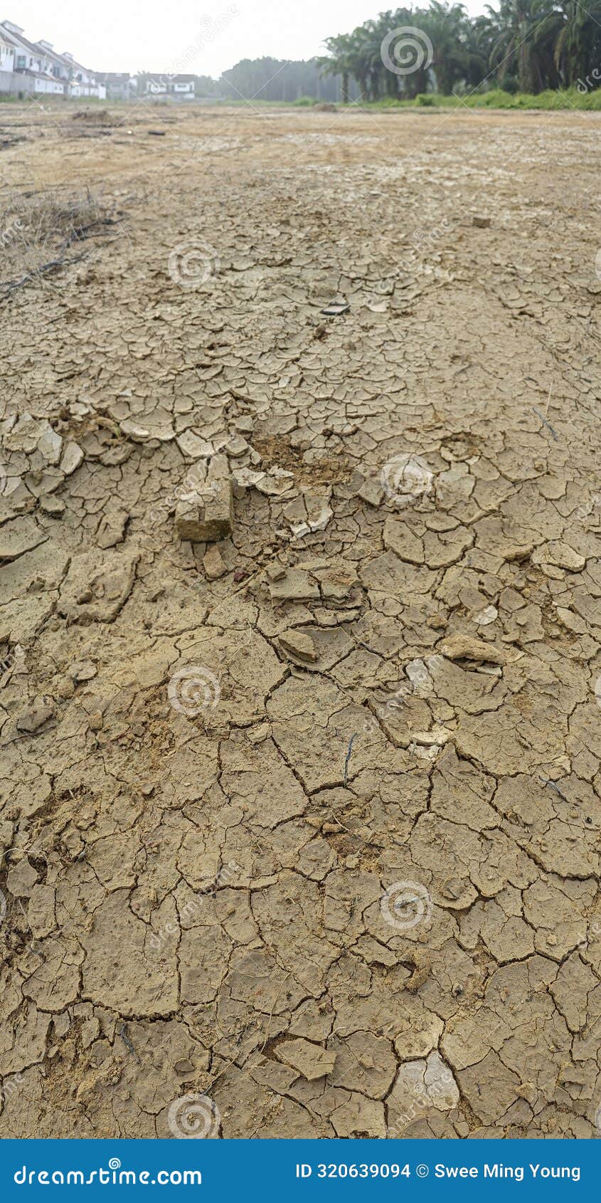 Surface Earth Soil Cracking Due To Hot Weather. Stock Photo - Image of ...