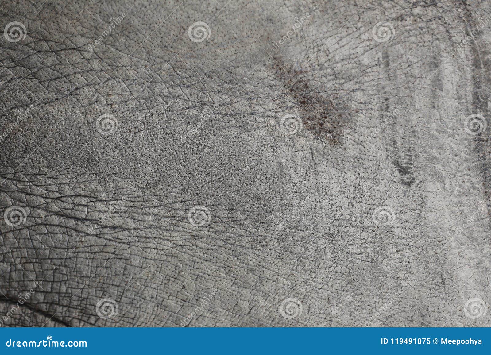 Surface of Elephant Leather Skin Background. Stock Image - Image of ...