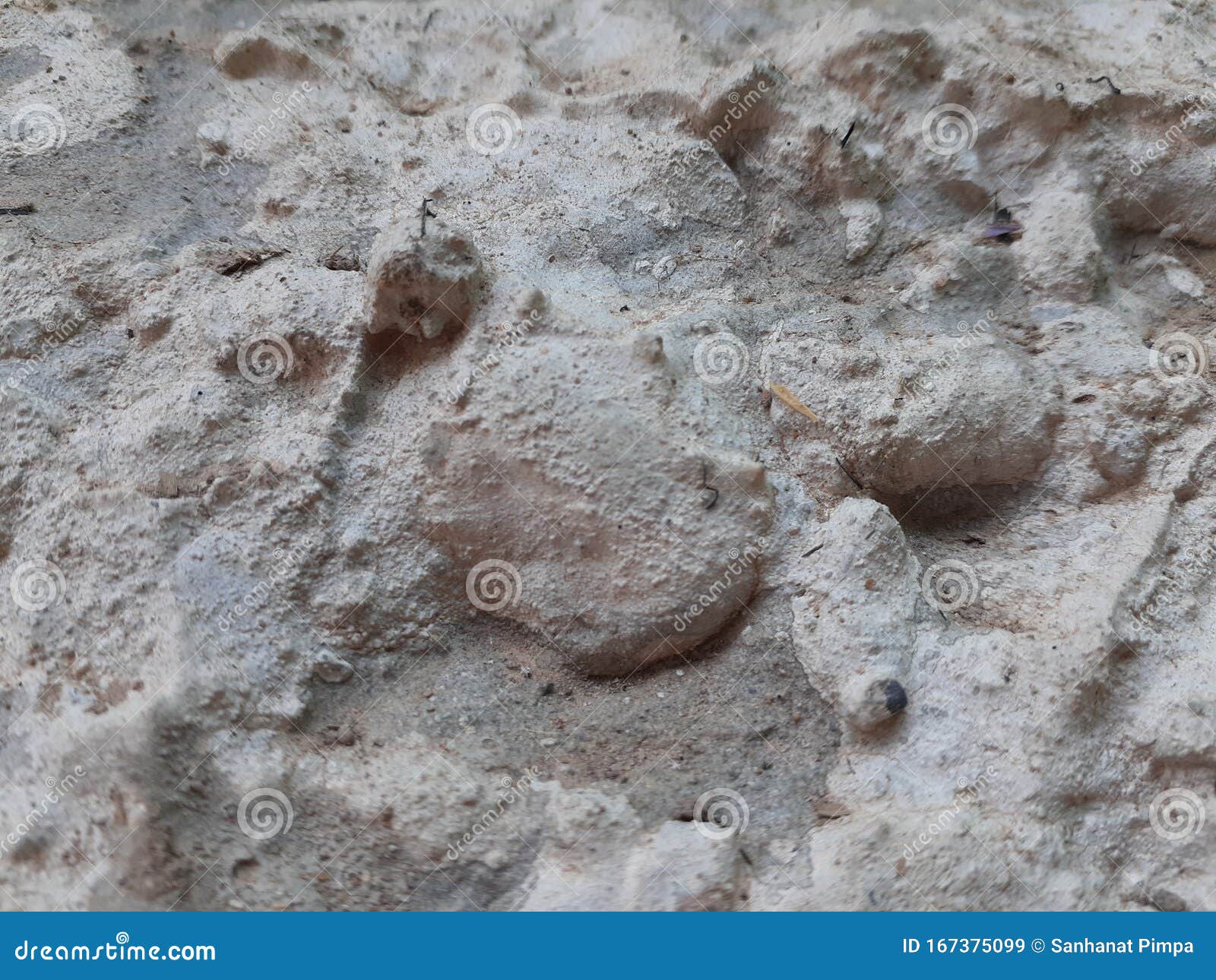 Surface Et Texture Du Sol Rugueux De Ciment Image stock - Image du ...