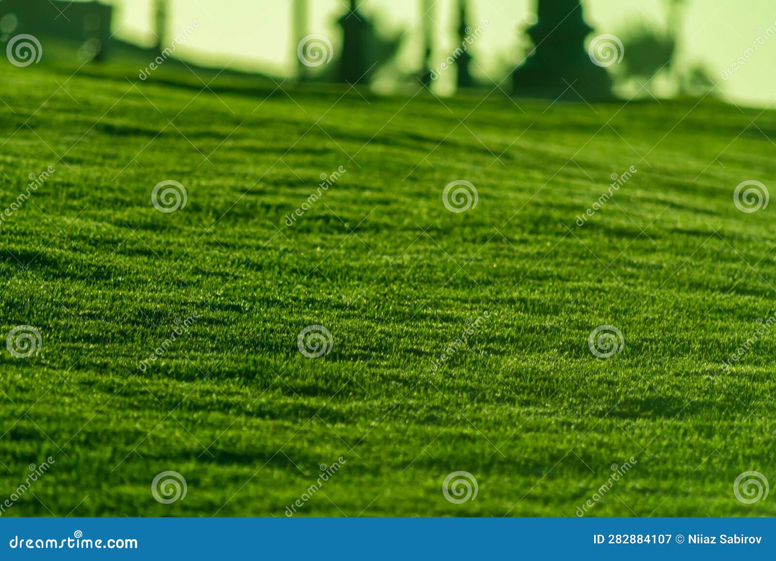 The Surface of Evenly Cut Lawn Grass during Sunset Creates an ...