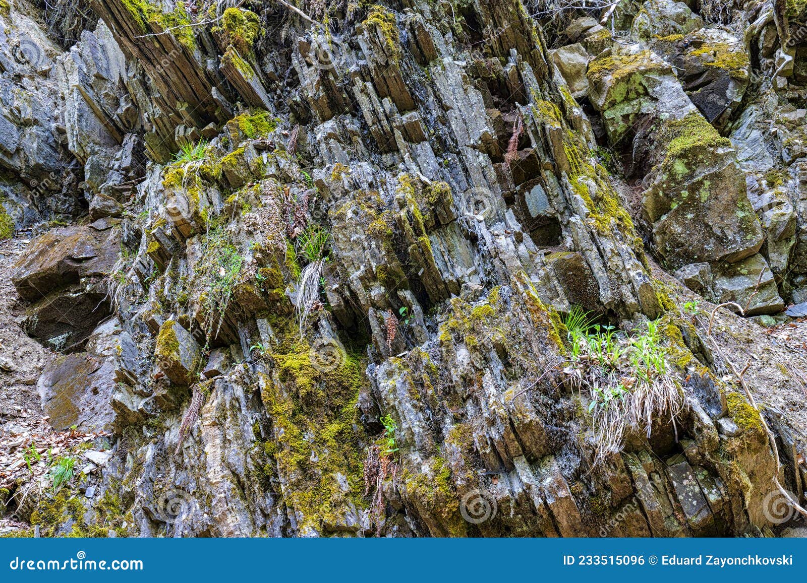 The Surface of the Forest Rocks. Stock Photo - Image of rocks ...