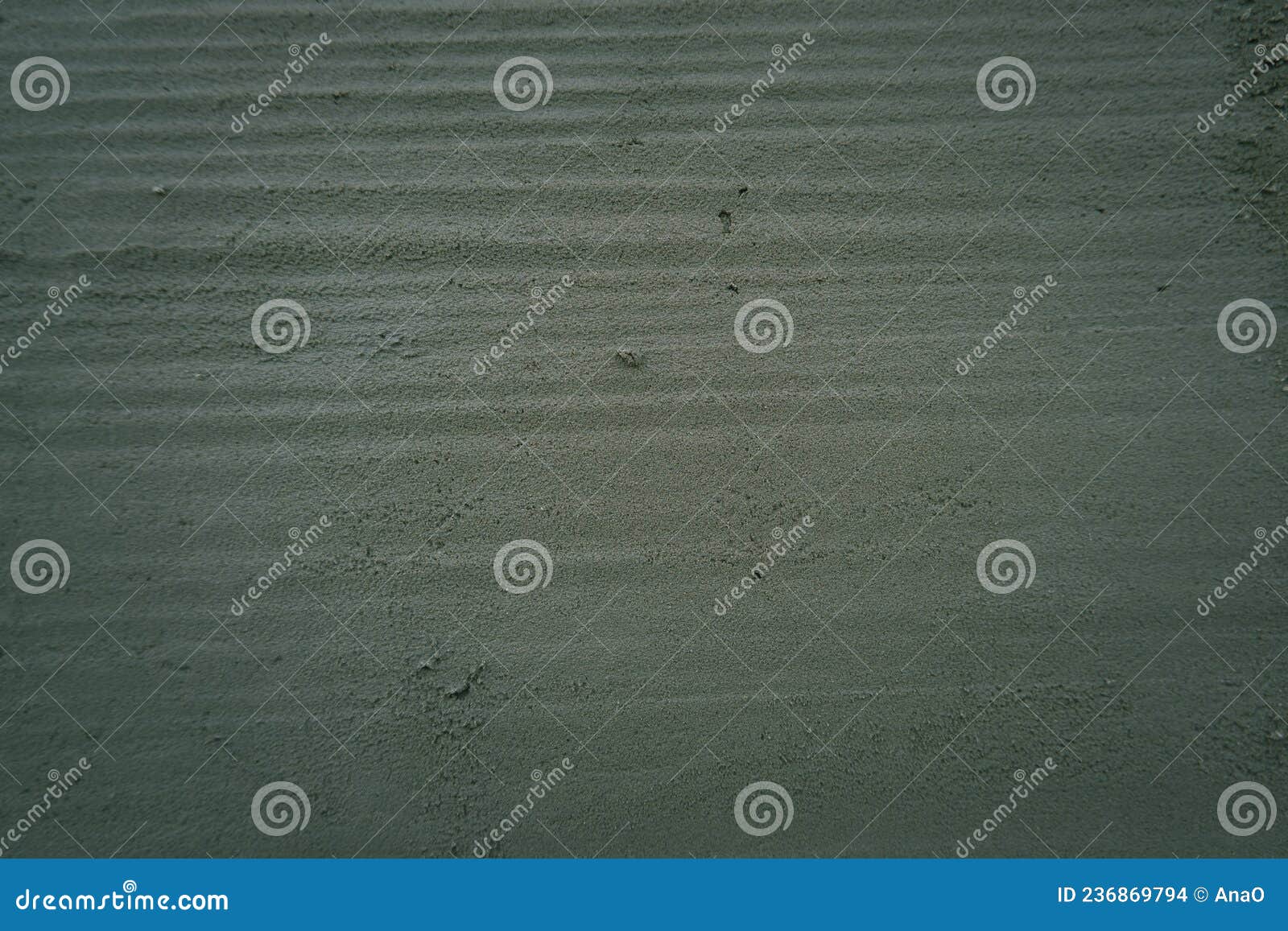 Surface of Fresh Cement Plaster. Texture of Gray Wet Plaster on the ...
