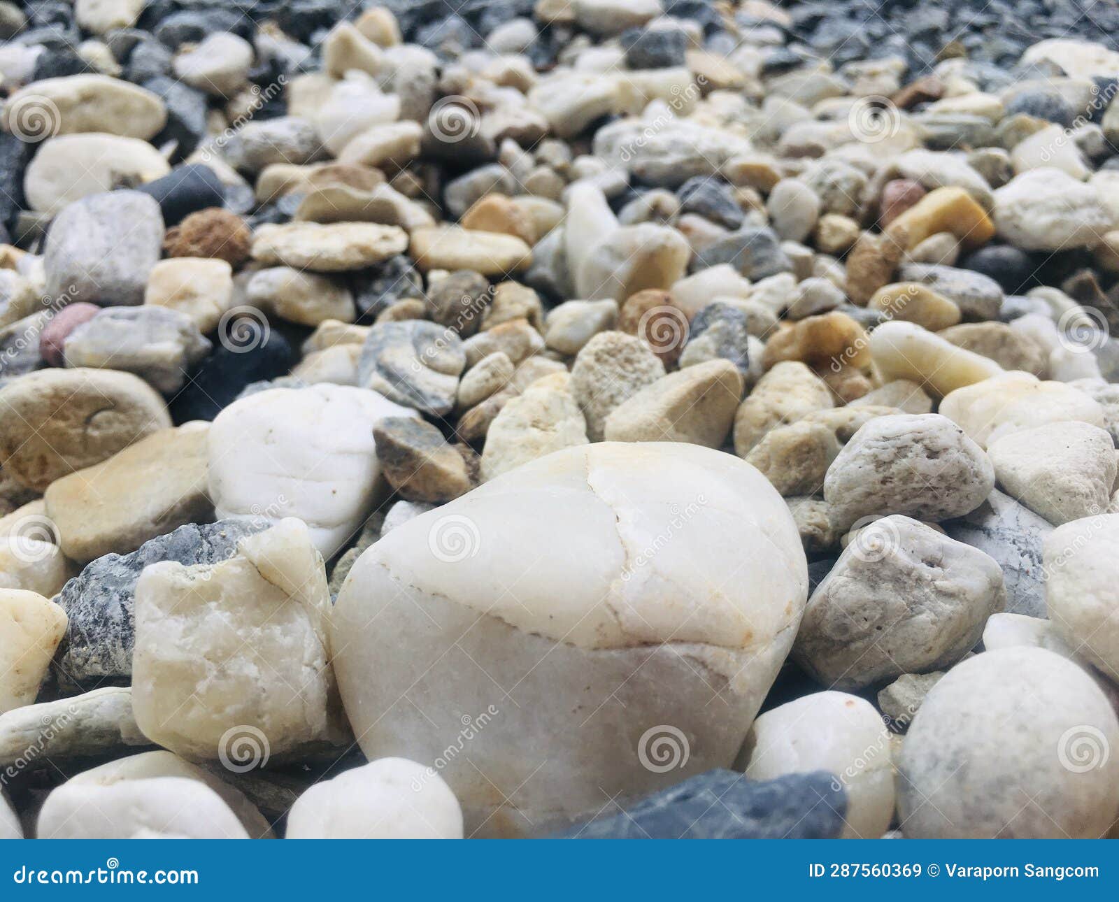 The Surface is Full of White and Gray Stones Stock Image - Image of ...