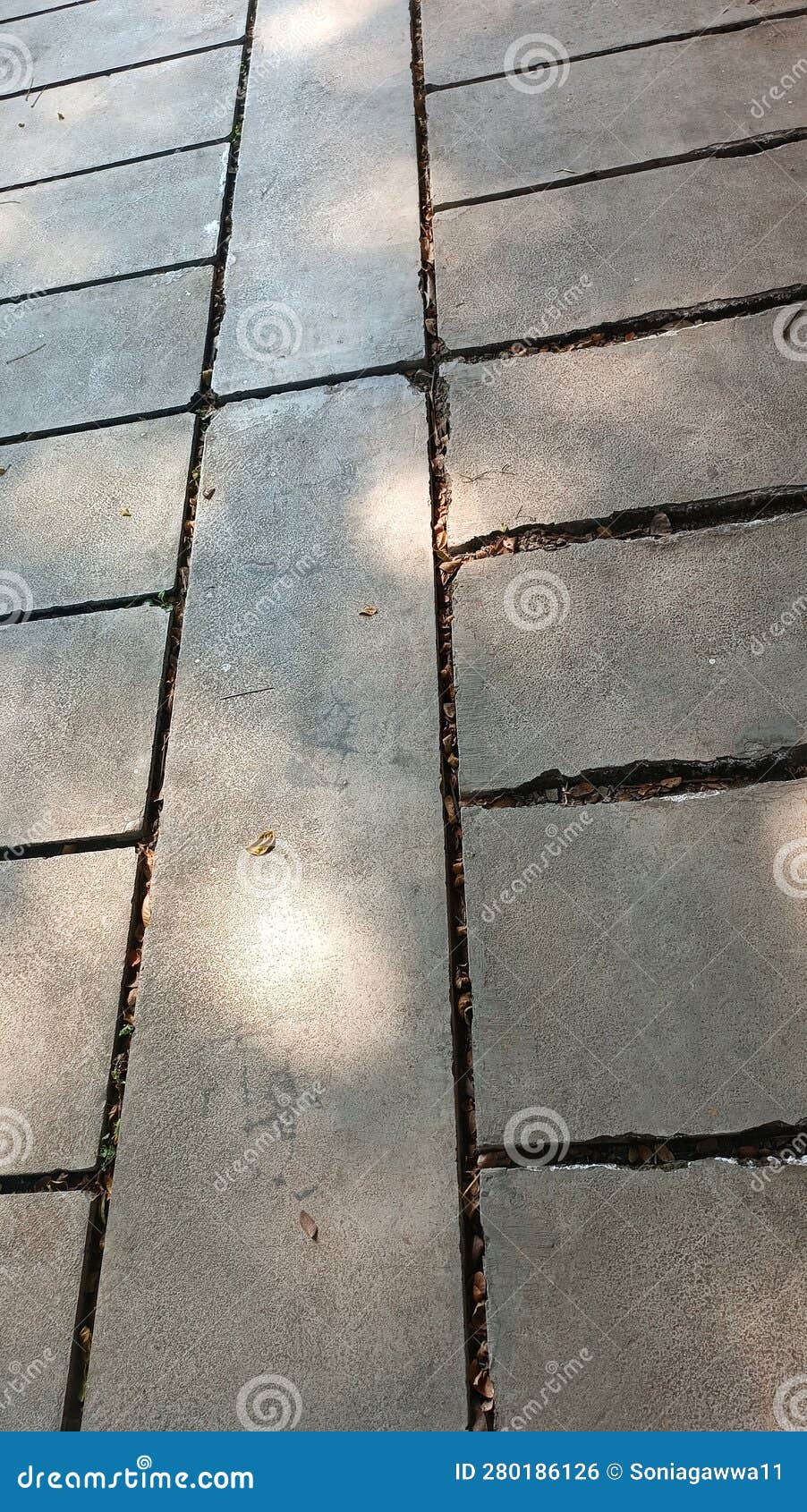 The Surface of the Garden Pathway Made of Rectangular Shaped Stones ...