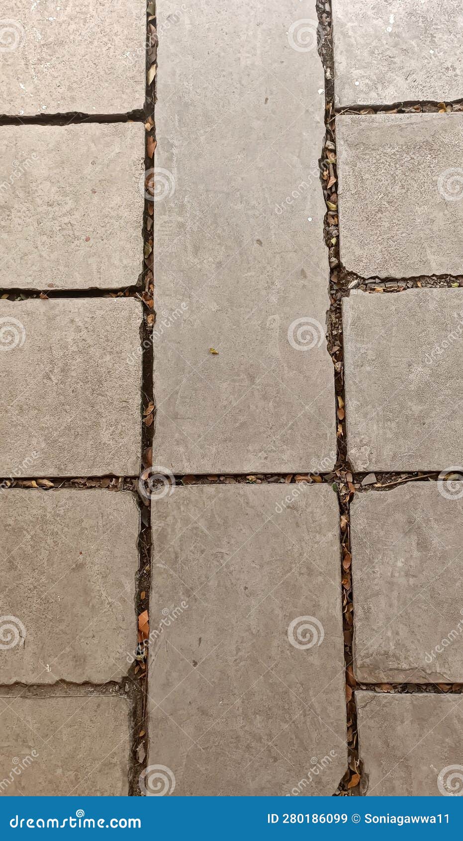 The Surface of the Garden Pathway Made of Rectangular Shaped Stones ...