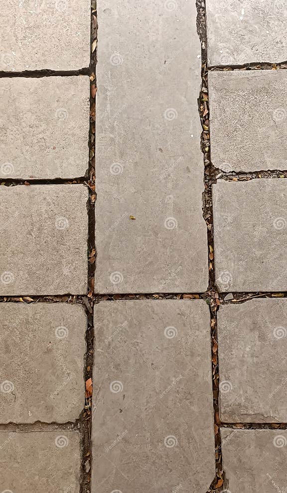 The Surface of the Garden Pathway Made of Rectangular Shaped Stones ...