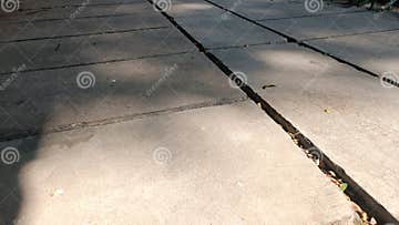 The Surface of the Garden Pathway Made of Rectangular Shaped Stones ...