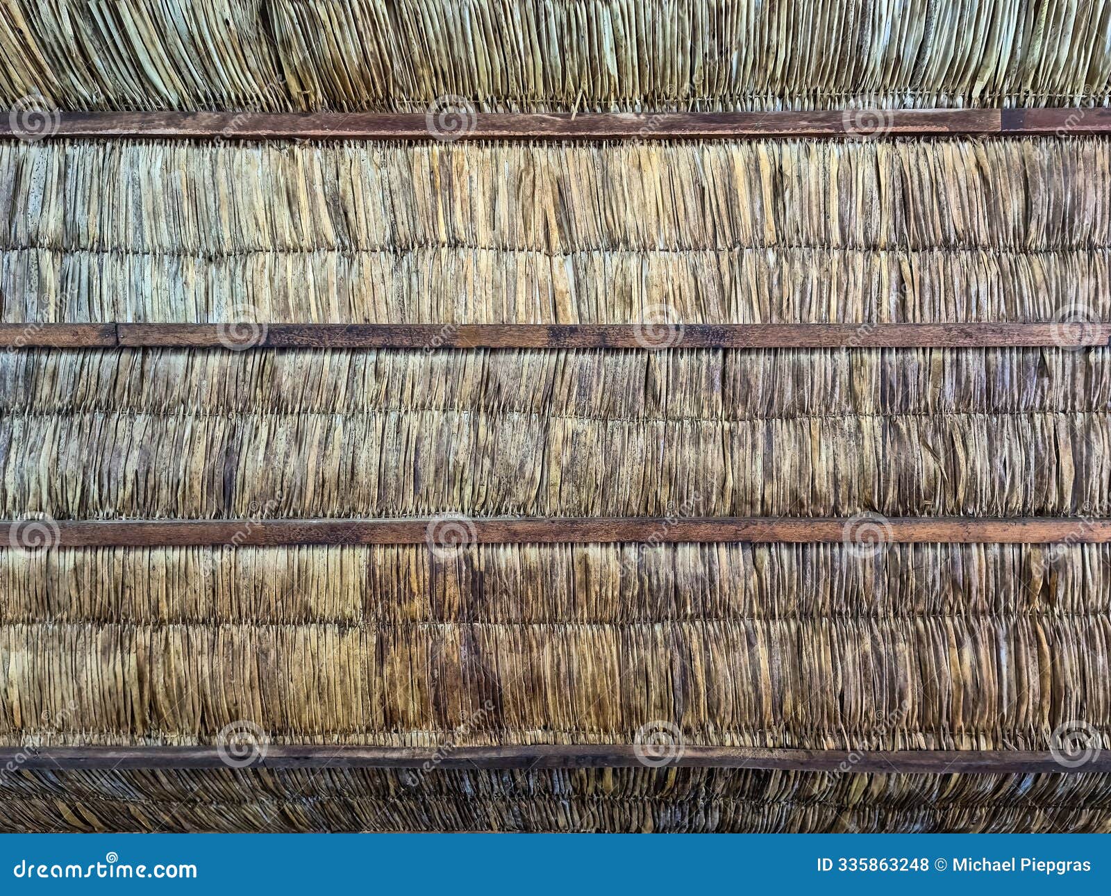 The Surface of a Garden Wall Made of Reed Grass Stock Photo - Image of ...