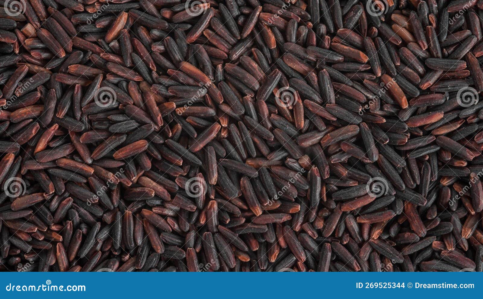 Surface of the Grains of Black Rice Stock Photo - Image of unpolished ...