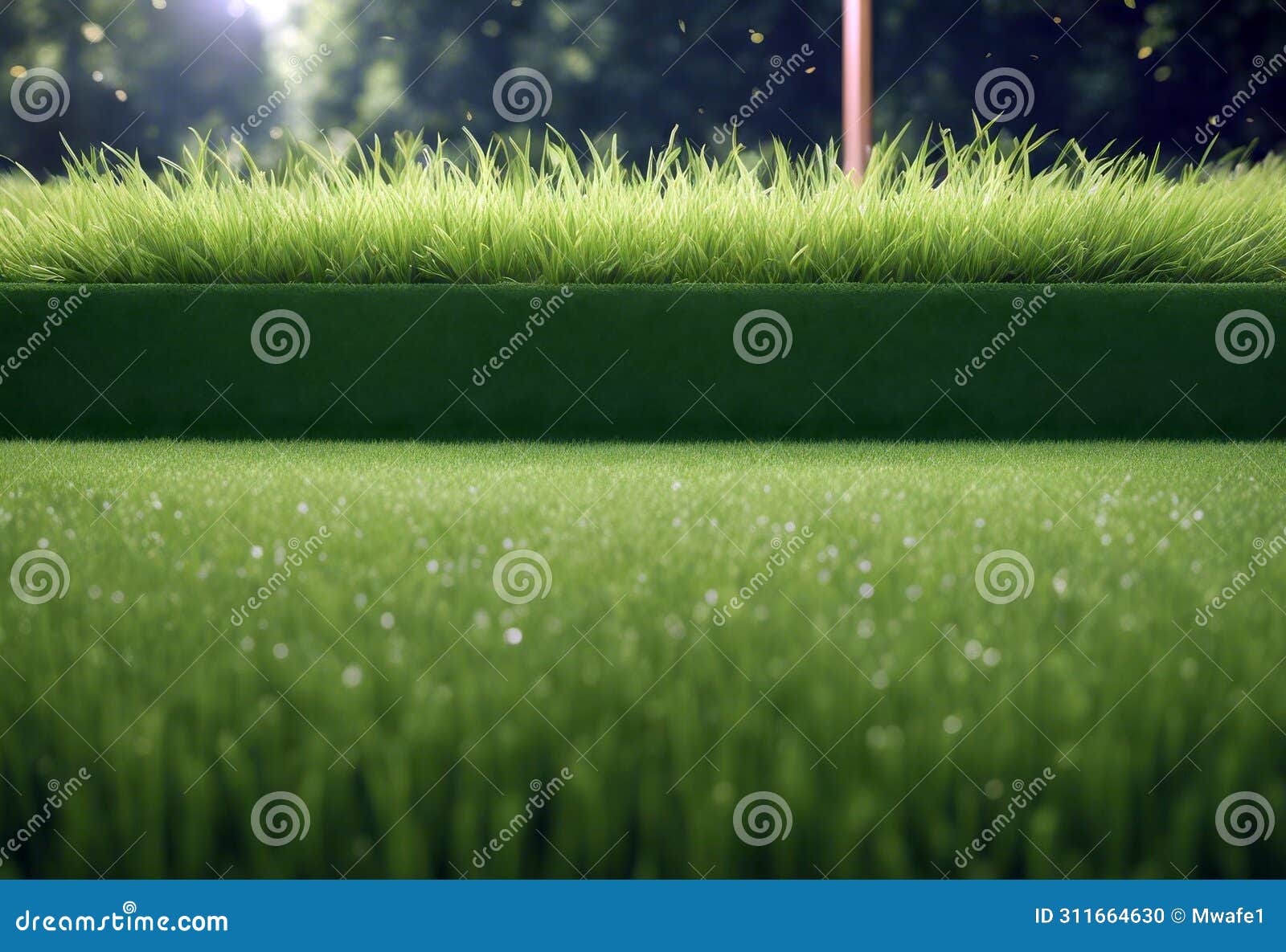 Surface Grass Grass Background 3d Covered Lawn Rendering Small Podium ...