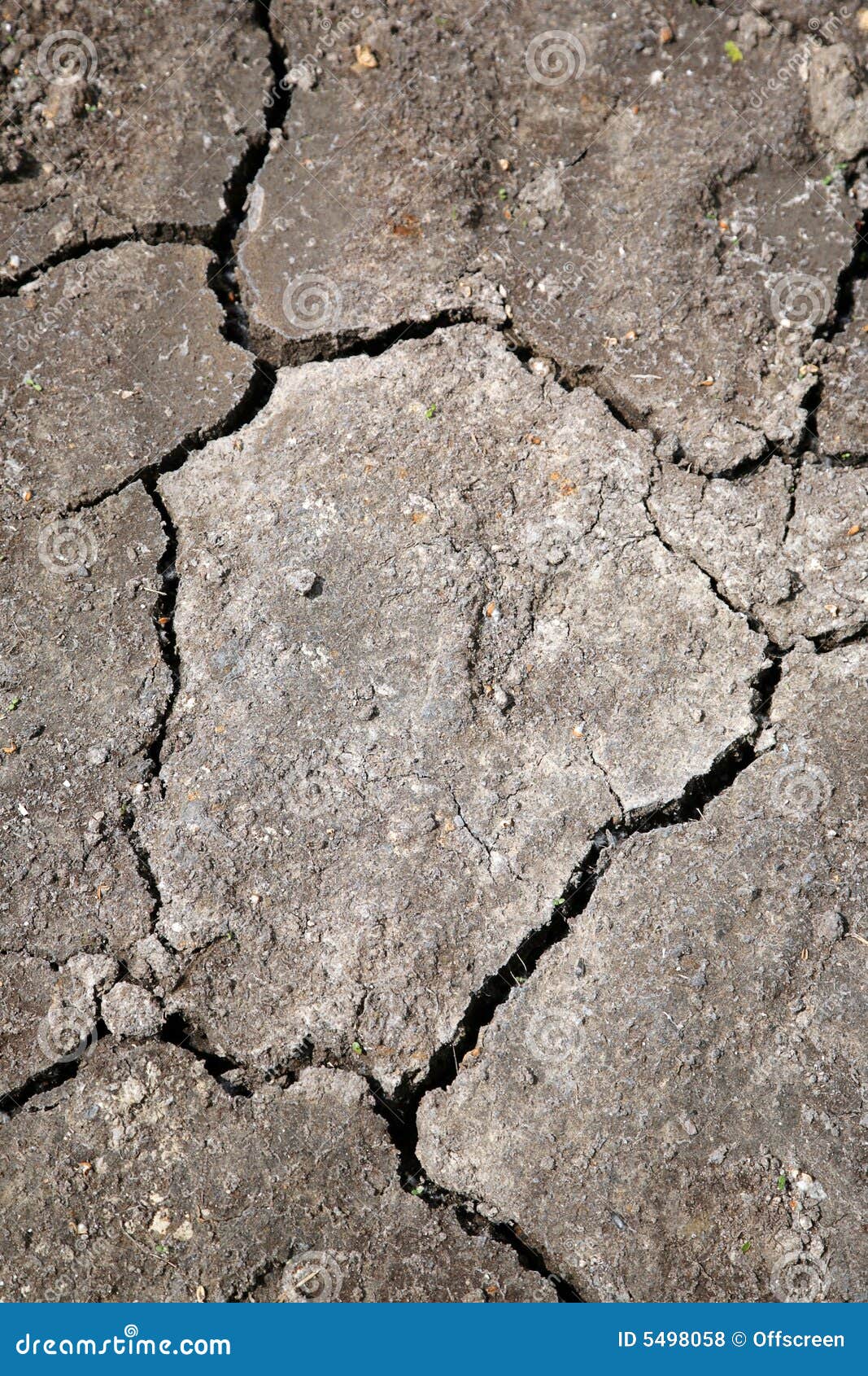 Surface Of The Ground Picture. Image: 5498058