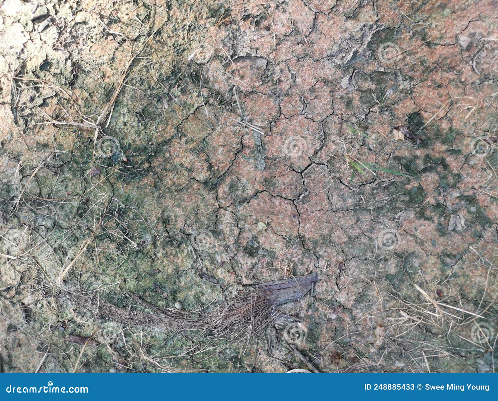 Surface Ground Crack Due To the Dryness Weather. Stock Image - Image of ...