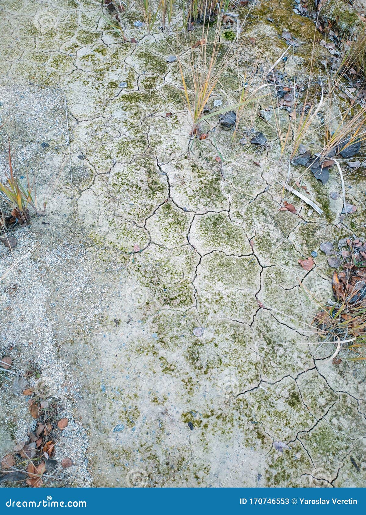 Surface of a Grungy Dry Cracking Parched Earth Stock Image - Image of ...