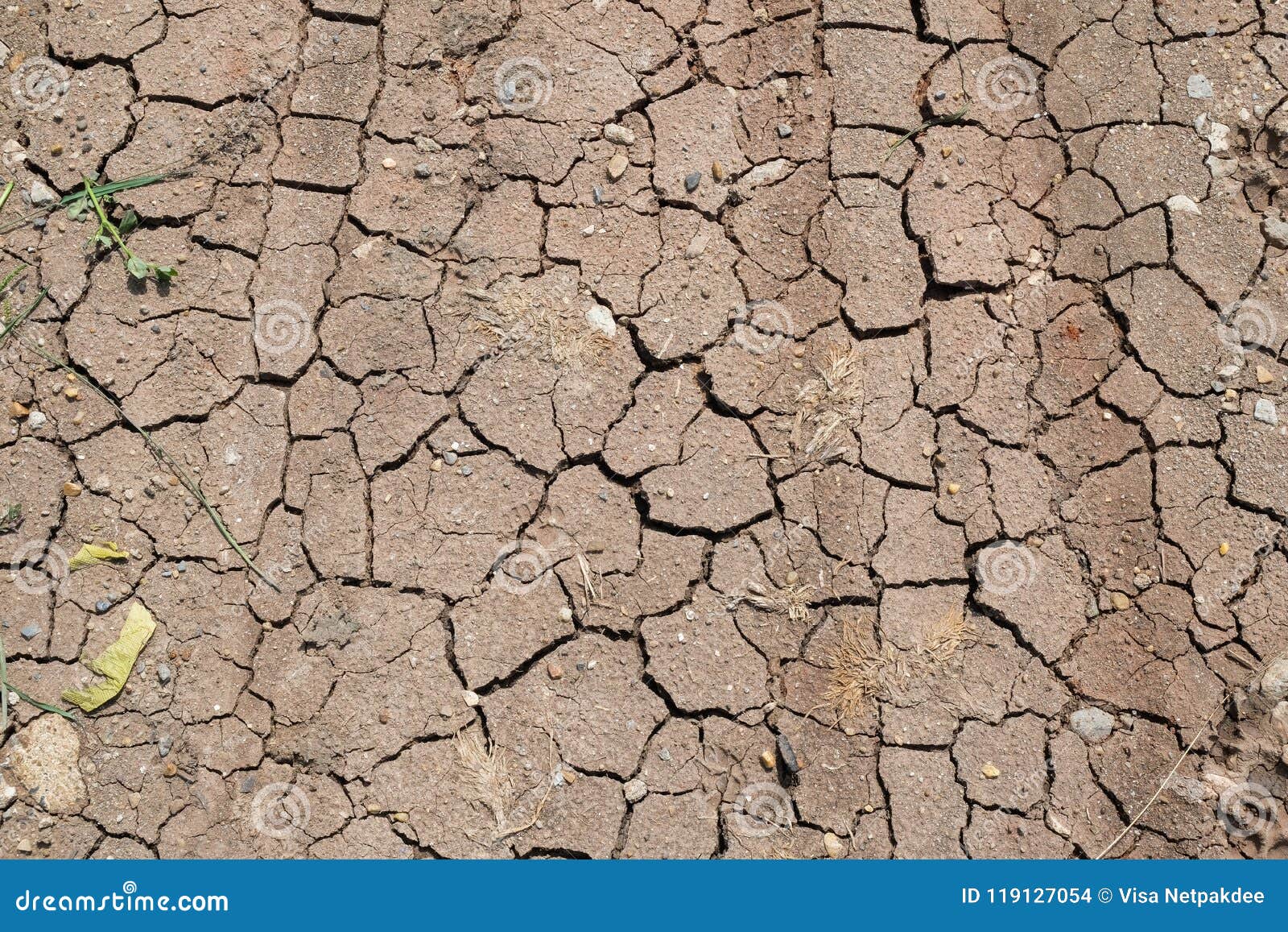 Surface of a Grungy Dry Cracking Parched Earth Stock Photo - Image of ...