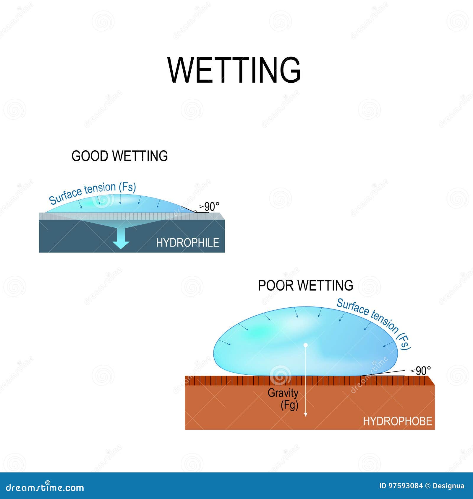 Surface Hydrophile Et Hydrophobe Illustration de Vecteur - Illustration ...