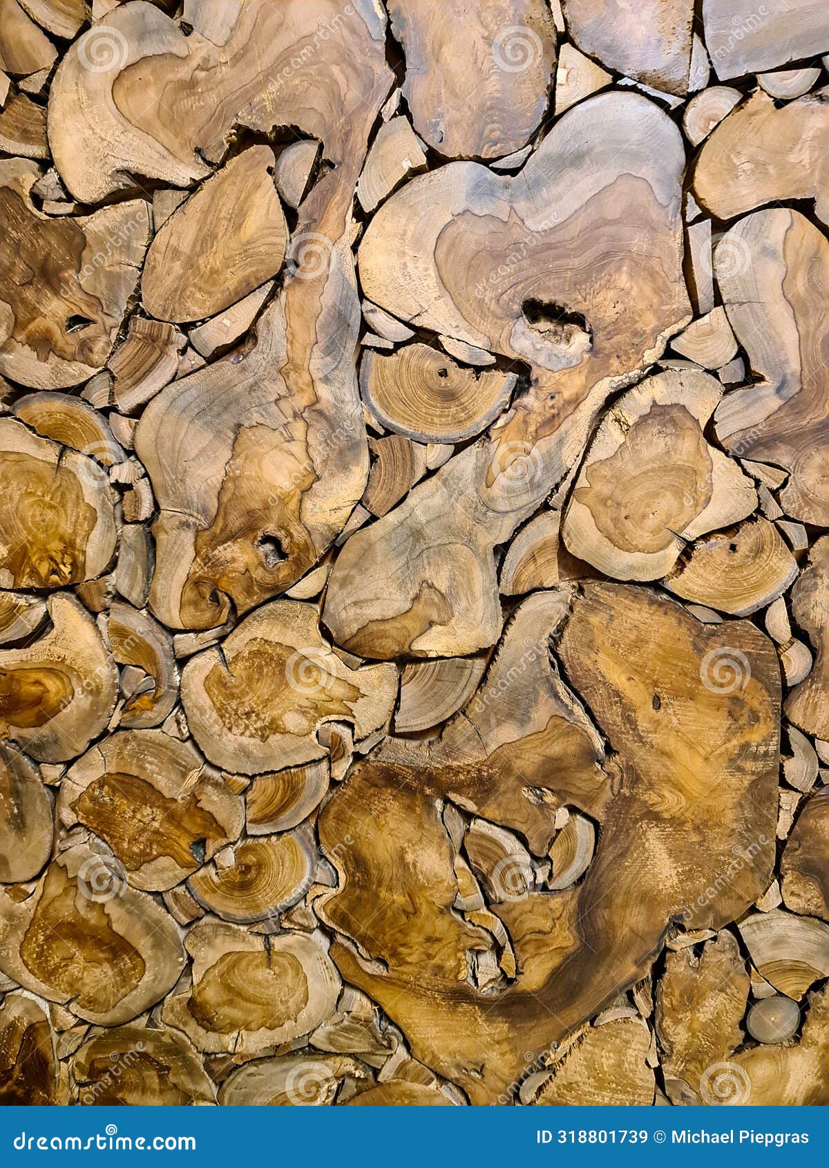 Surface Image of Natural Burl Wood in a Light Brown Shade Stock Image ...