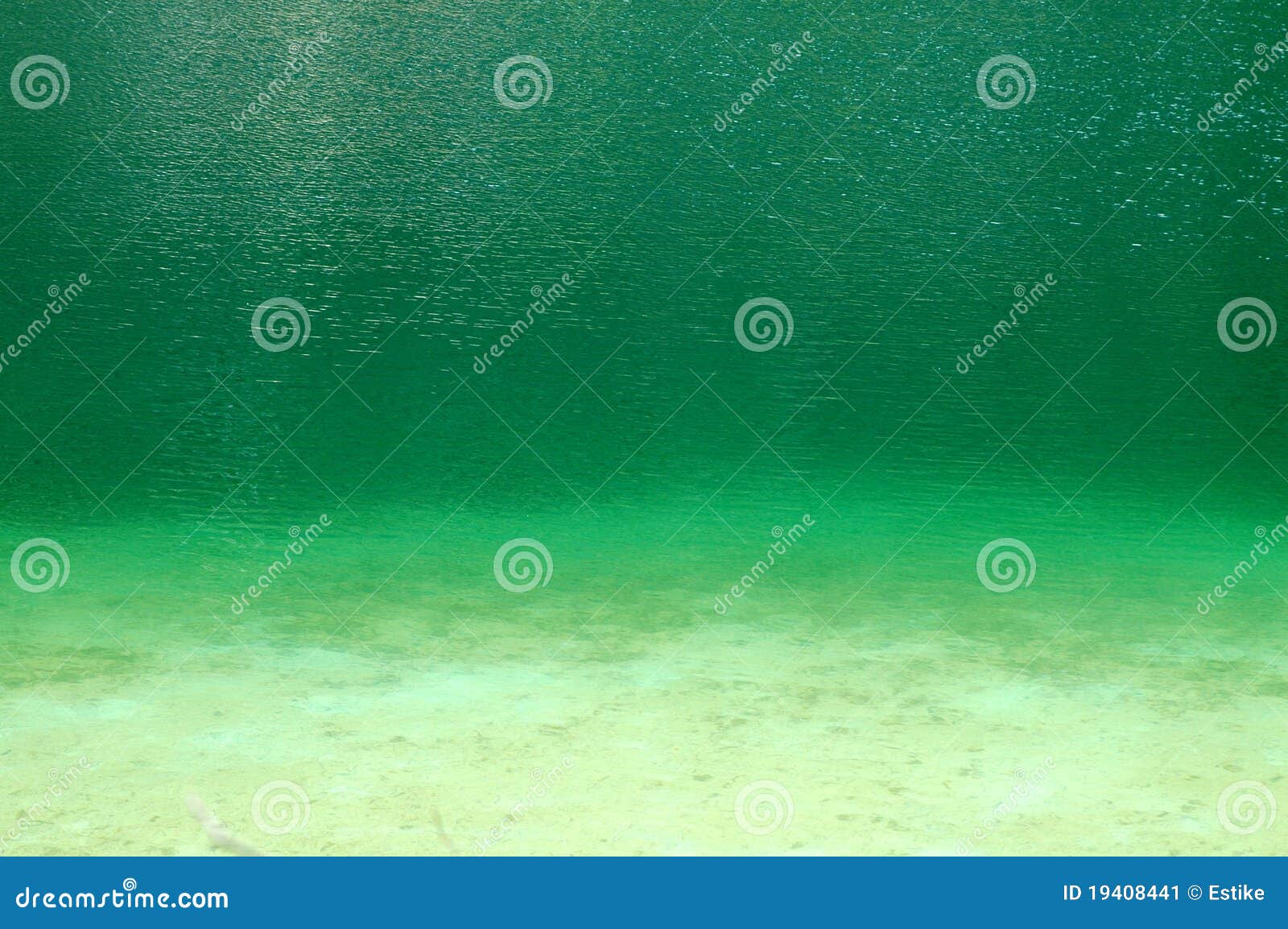 Surface of a lake stock image. Image of green, calm, riparian - 19408441