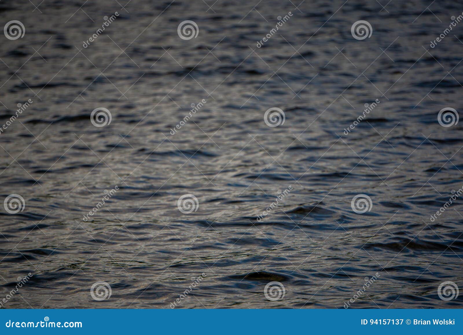 Surface of a Lake stock image. Image of choppy, swimming - 94157137