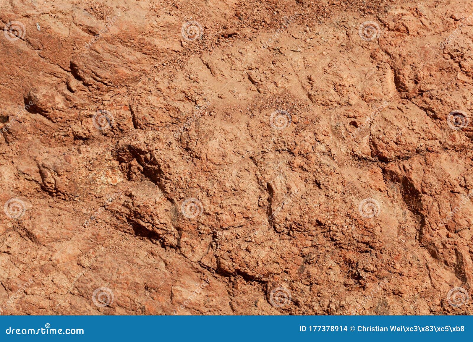The Surface of a Laterite Soil Stock Photo - Image of material ...