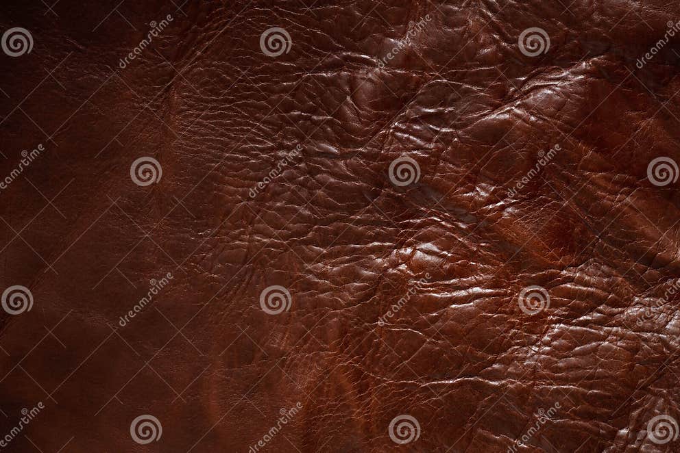 Surface of leather. stock photo. Image of dirty, animal - 97504758