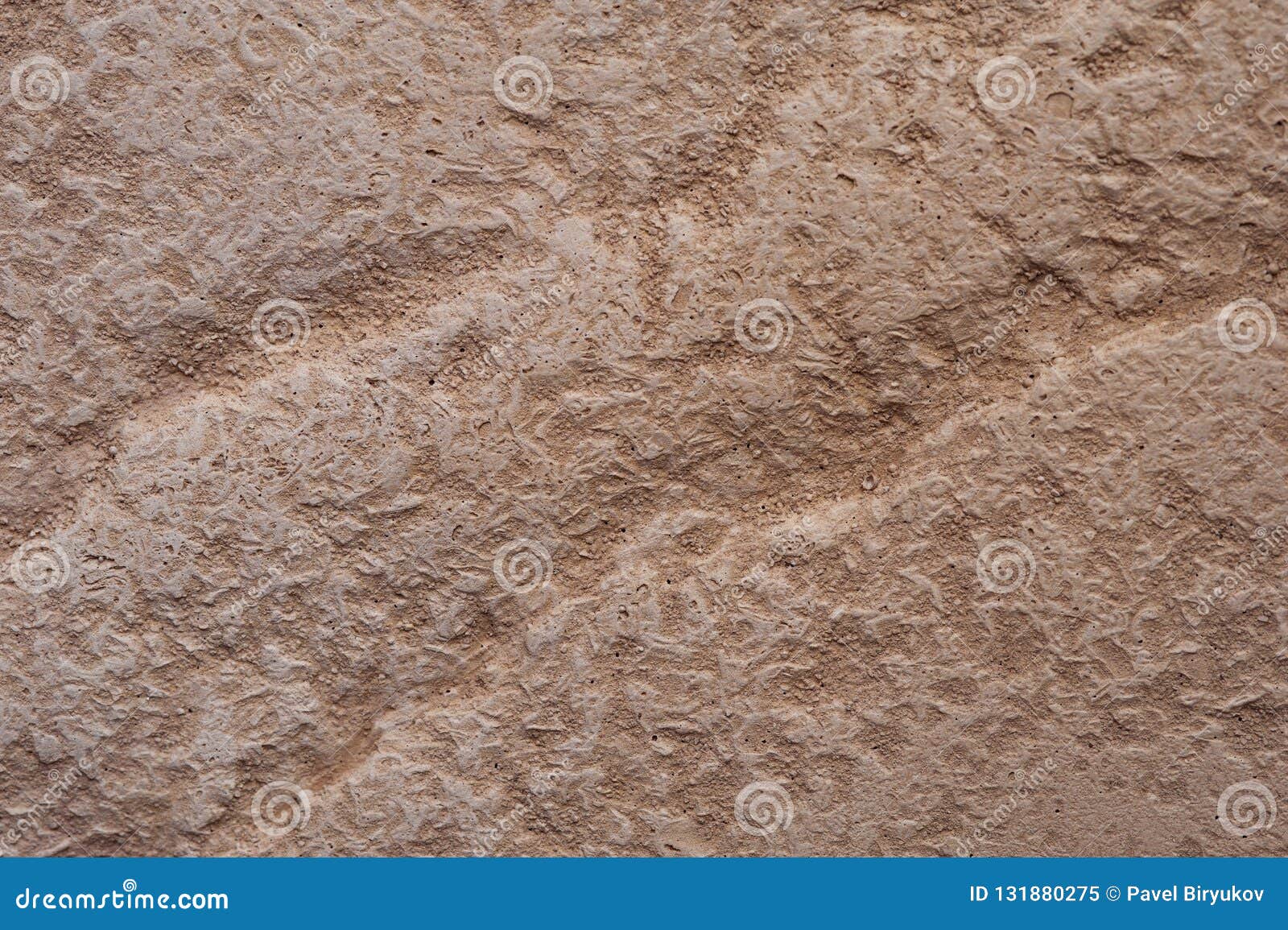Surface Texture of the Limestone Stock Image - Image of hard, empty ...