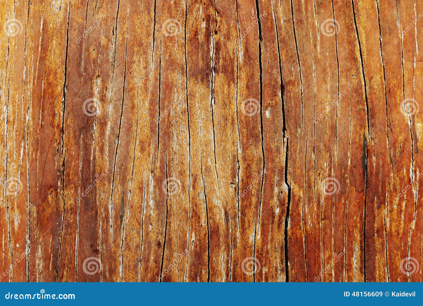 Surface of log stock image. Image of brown, trunk, texture - 48156609
