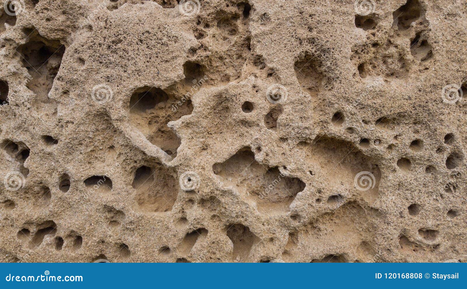 The Surface of Low Density Sandstone is Covered with Potholes Stock ...