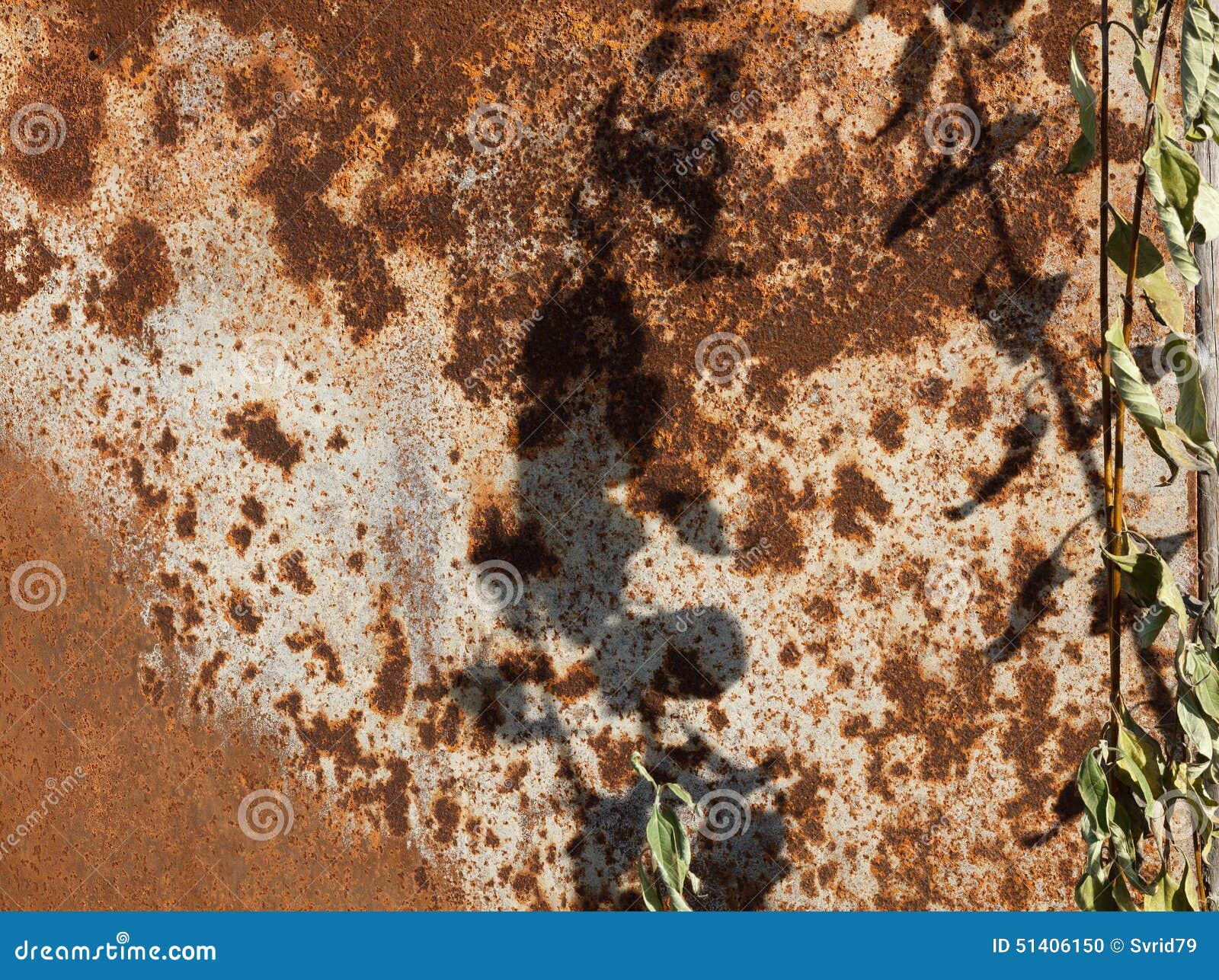 Surface of the Metal Sheet Coated with Rust Stock Photo - Image of ...