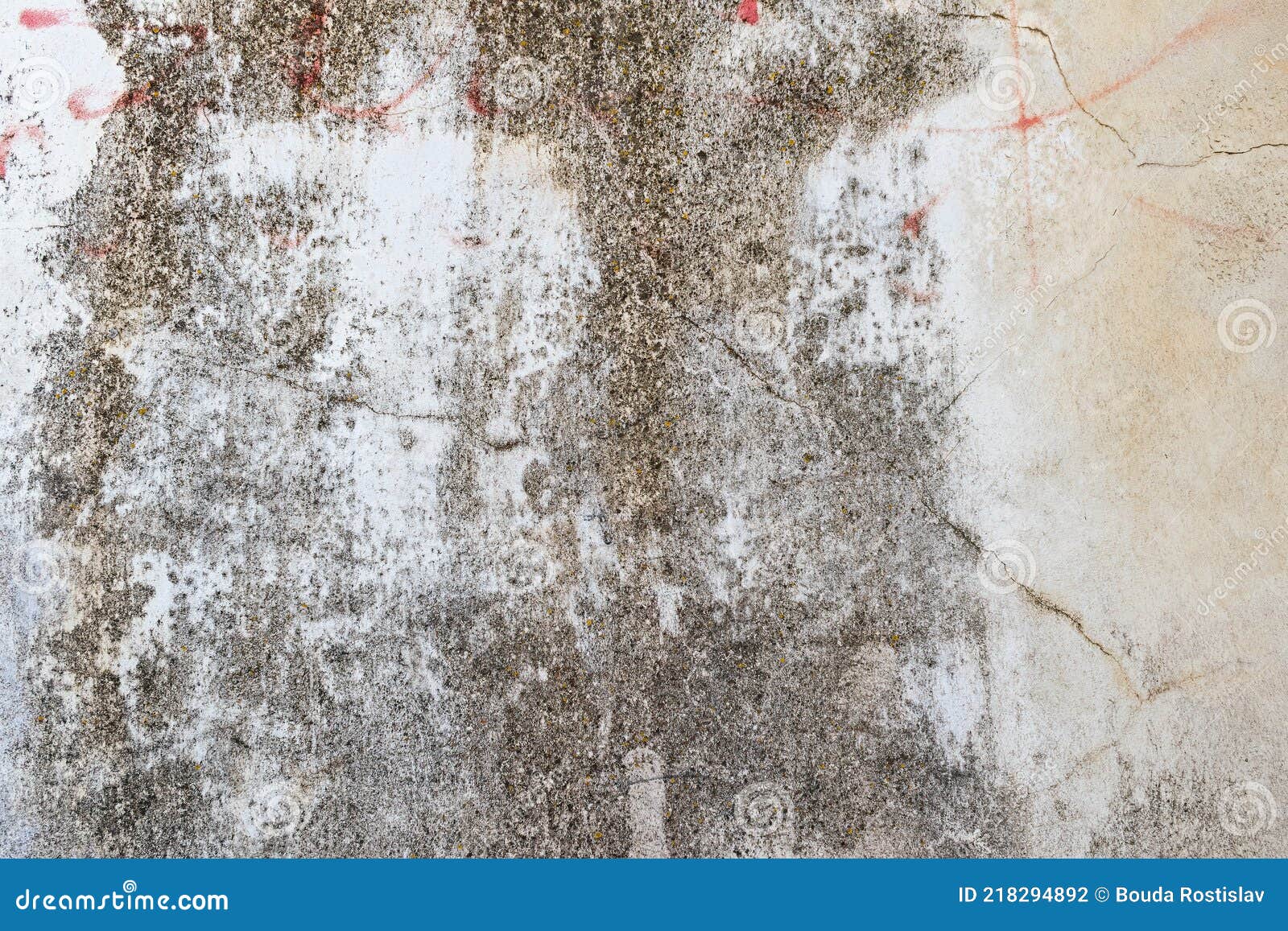 Moldy Substrate Stock Photos - Free & Royalty-Free Stock Photos from ...