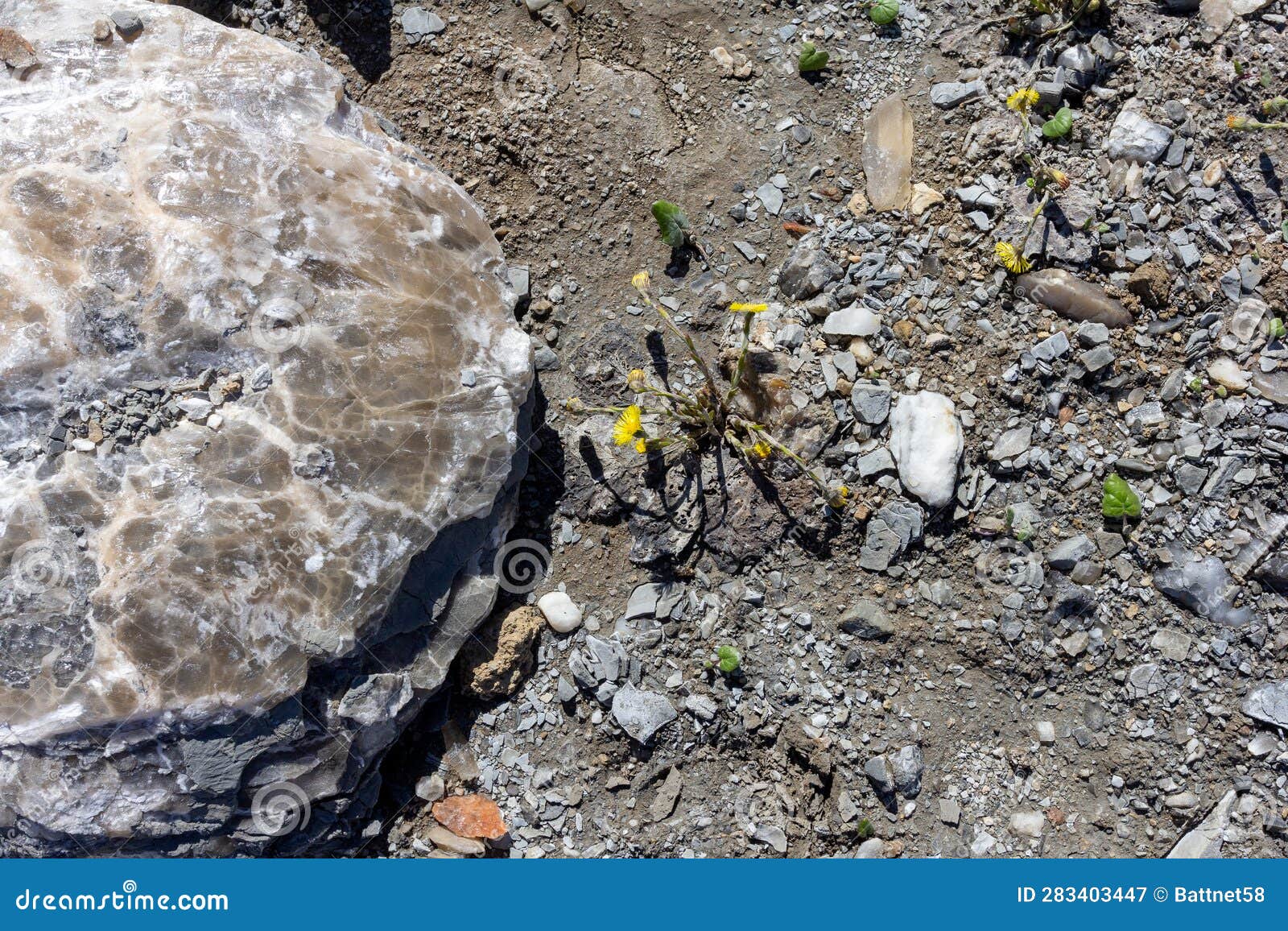 Geological Surveys of Quarries, Mining Structures for Unusual Minerals ...