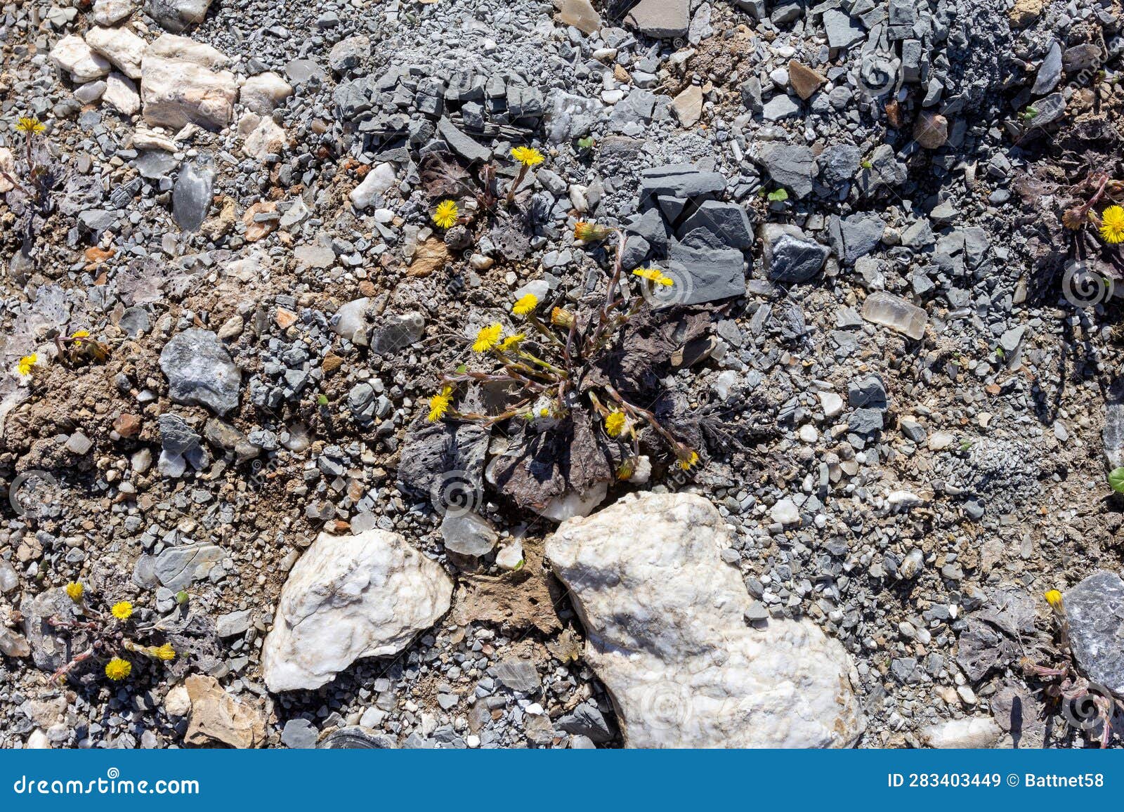 Geological Surveys of Quarries, Mining Structures for Unusual Minerals ...