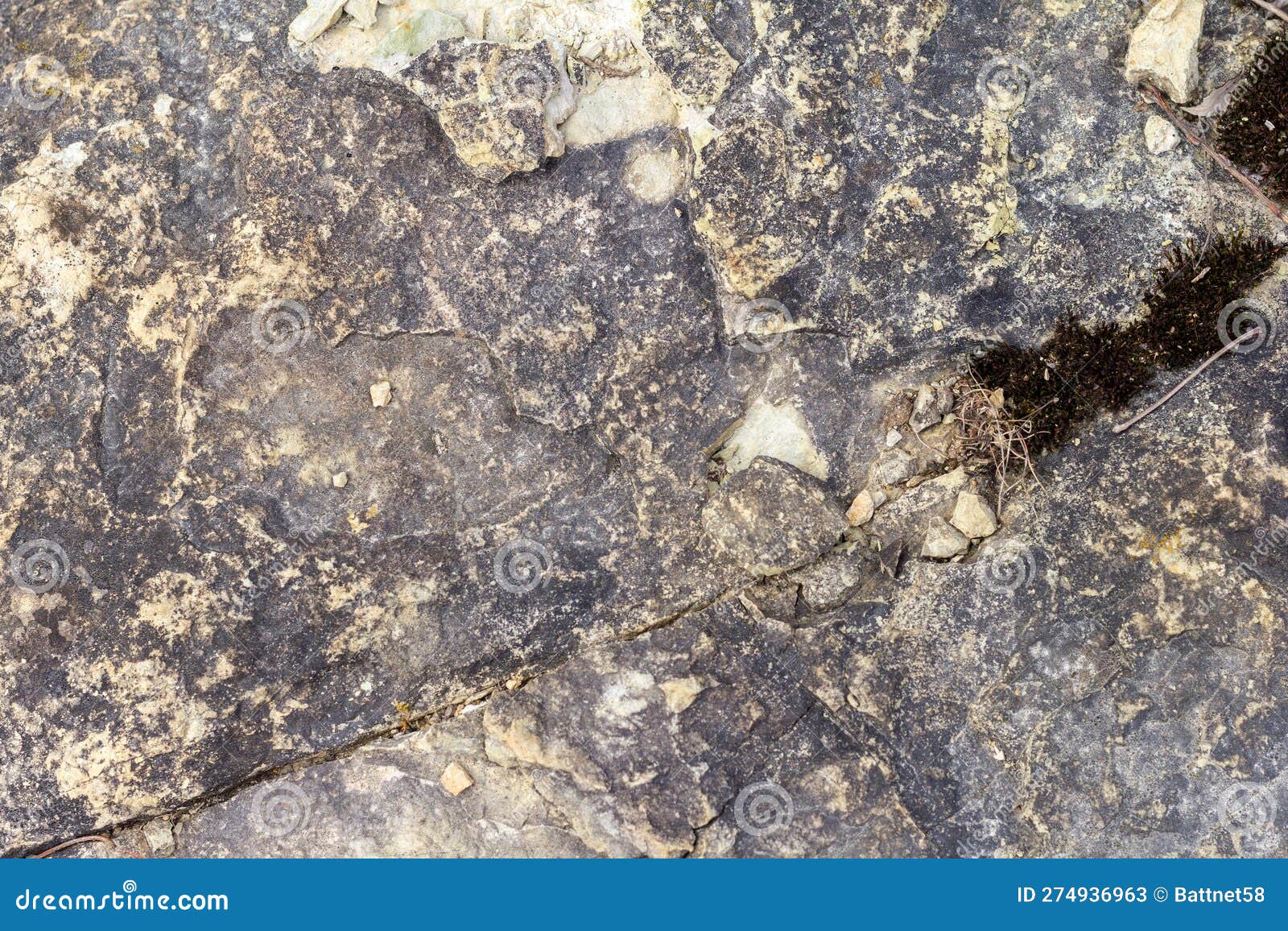 The Surface of a Mountain Plateau with a Shallow Stone Structure ...