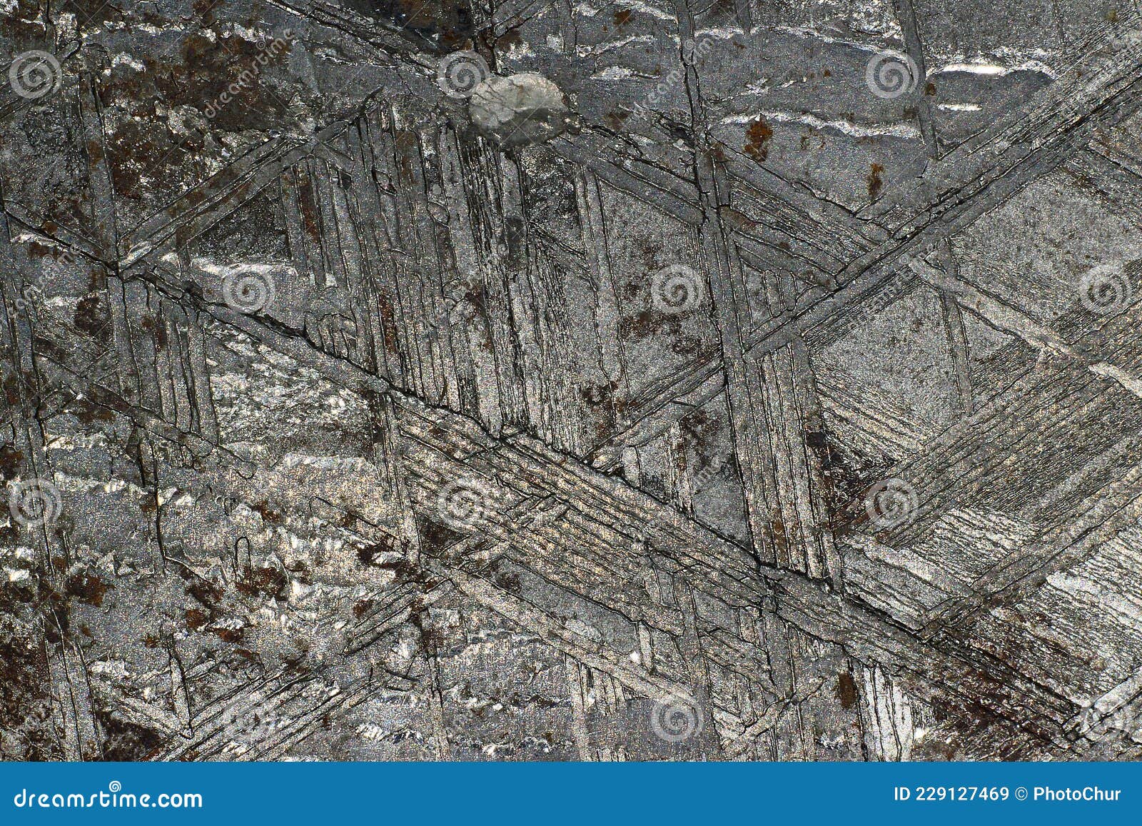 The Surface of the Muonionalusta Meteorite Etched in Acid with the ...