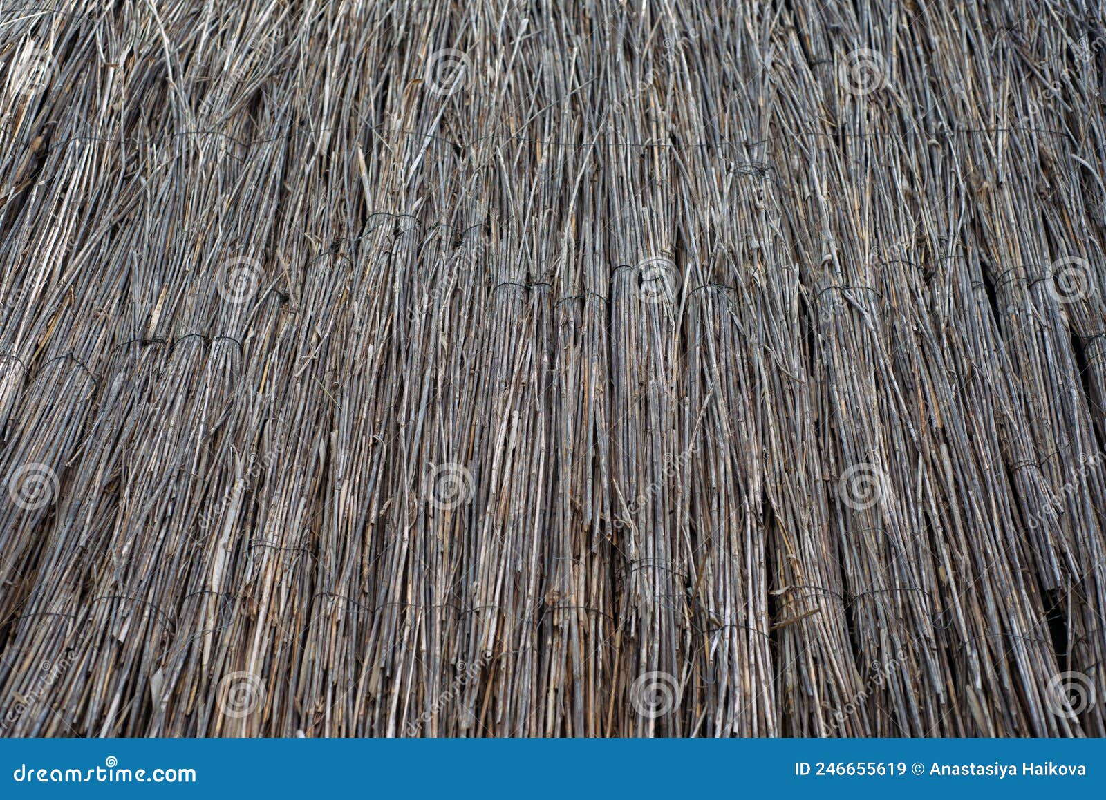 A Surface of Neatly Laid Flat Straw Stock Image - Image of backdrop ...