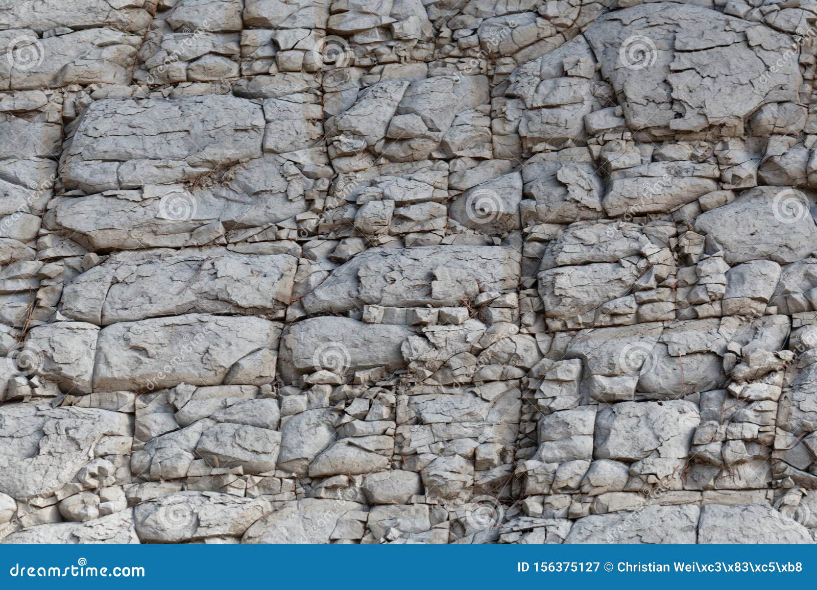 The Surface of a Nodular Limestone Stock Image - Image of skeletal ...