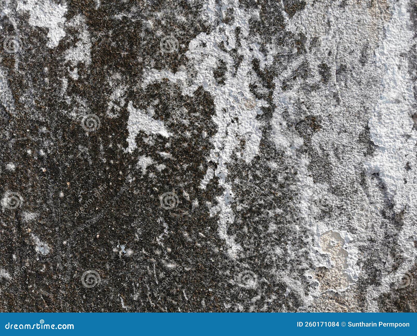 Surface of Old Cement Wall for the Design Texture Background Stock ...