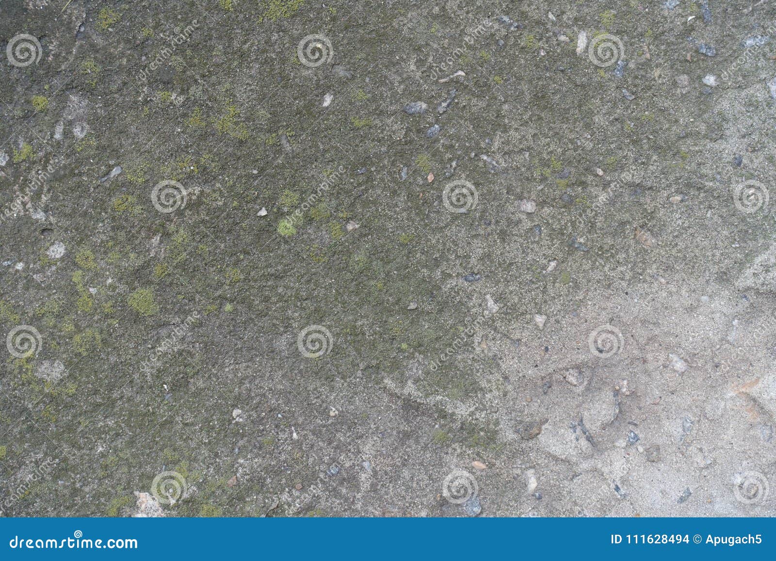 Surface of Concrete Slab with Lichen Stock Photo - Image of material ...