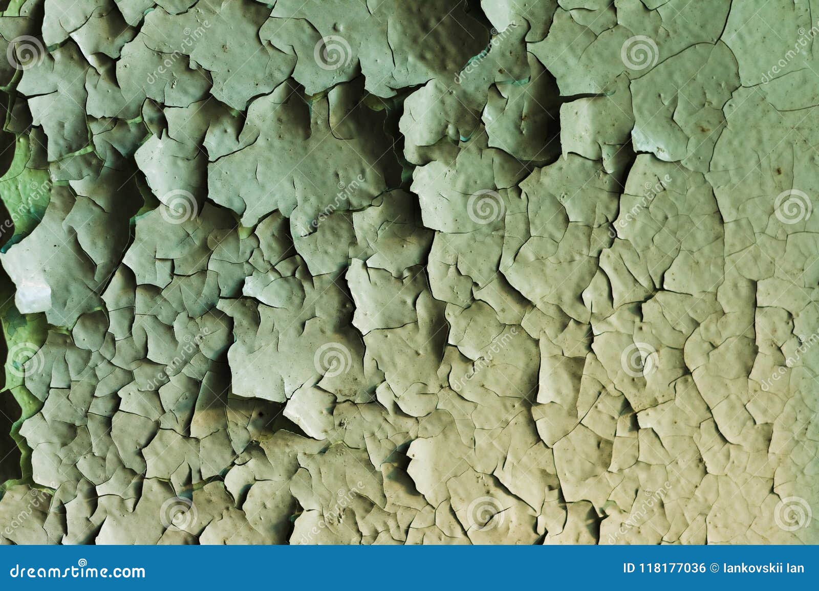 A Surface with an Old Cracked Paint Splitting Large Pieces Stock Photo ...
