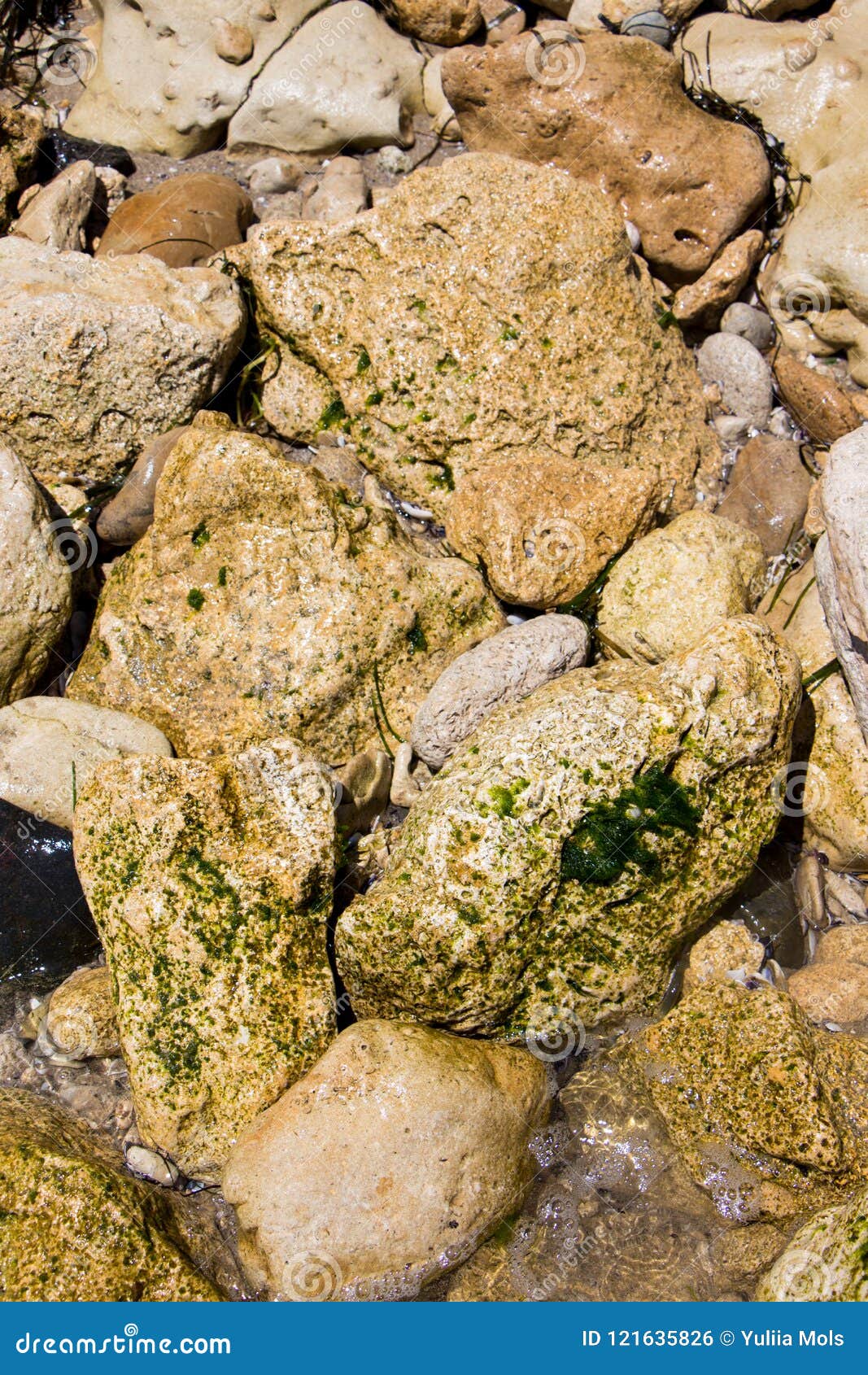 Old Rock Texture Wild Background Stock Photo - Image of rock, wild ...