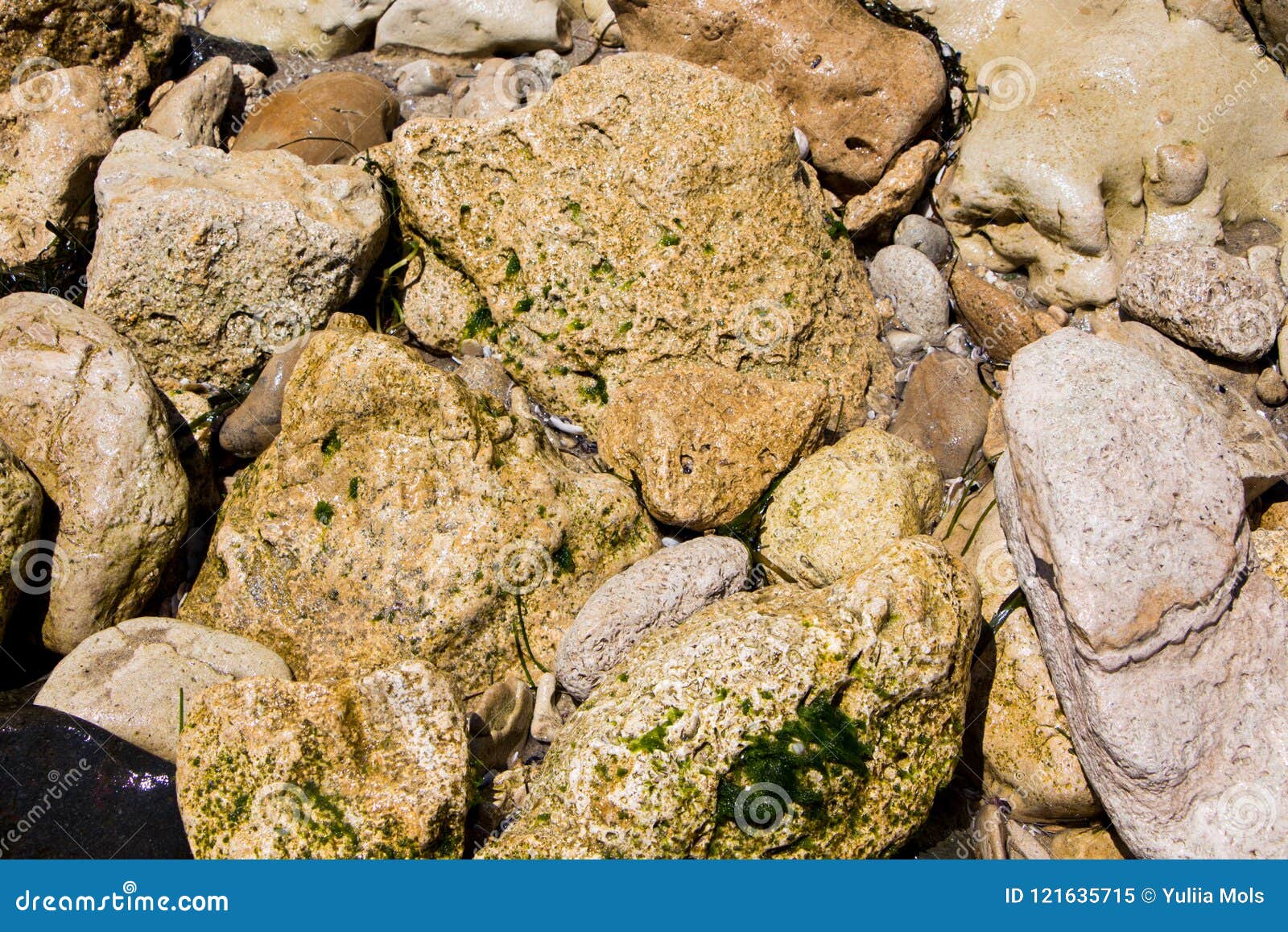 Old Rock Texture Wild Background Stock Image - Image of abstract ...