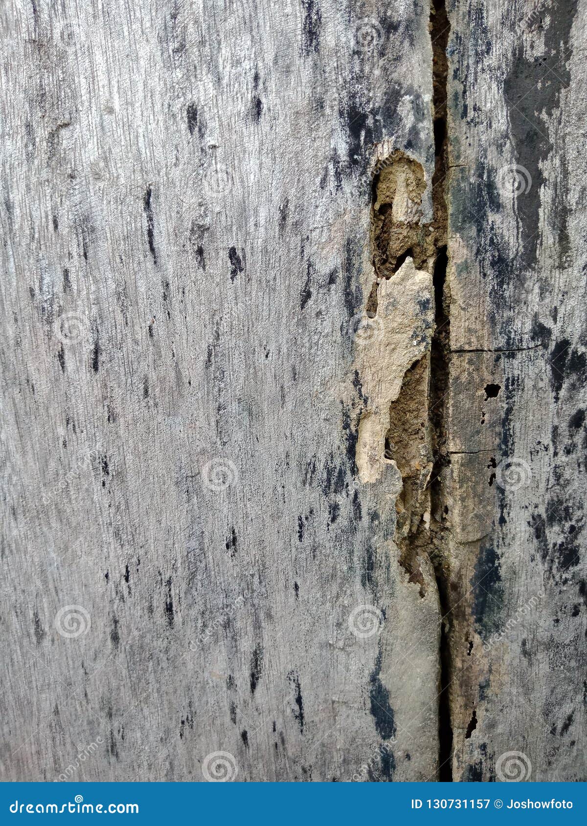 Surface Old Wood Texture Stock Image | CartoonDealer.com #130731157