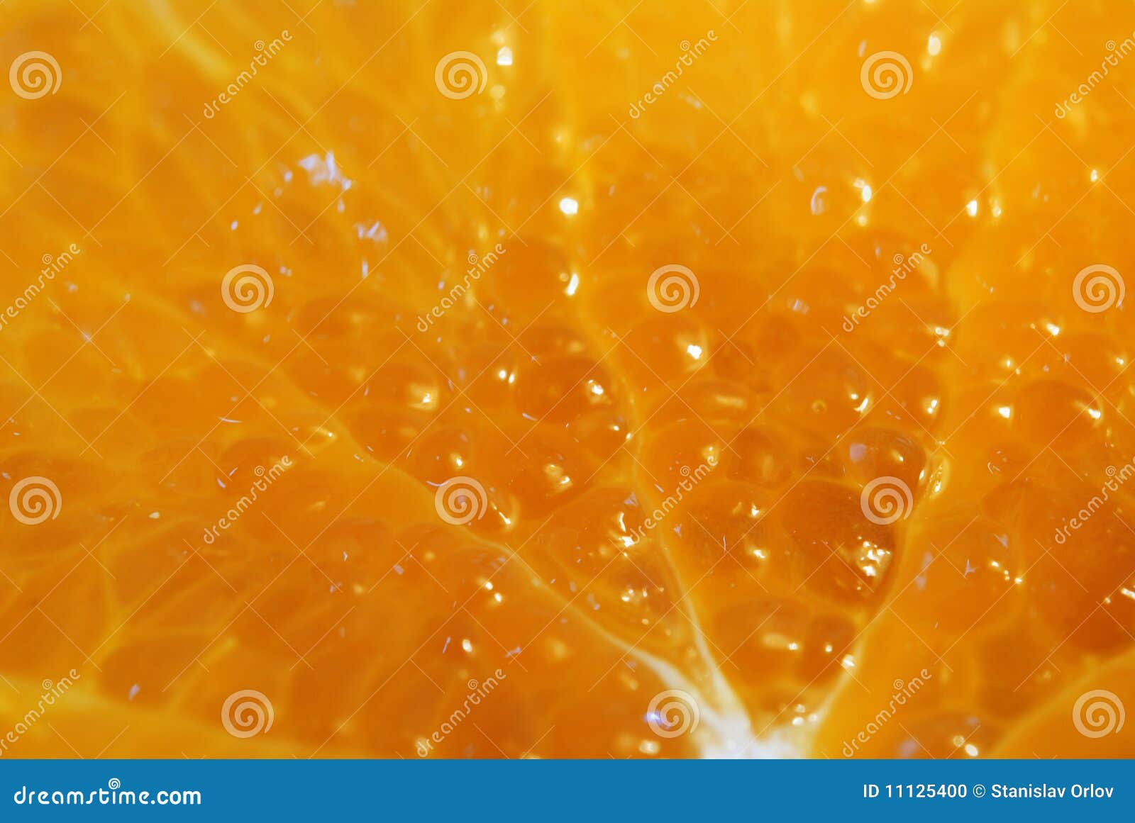 Surface of an orange slice stock photo. Image of nature - 11125400