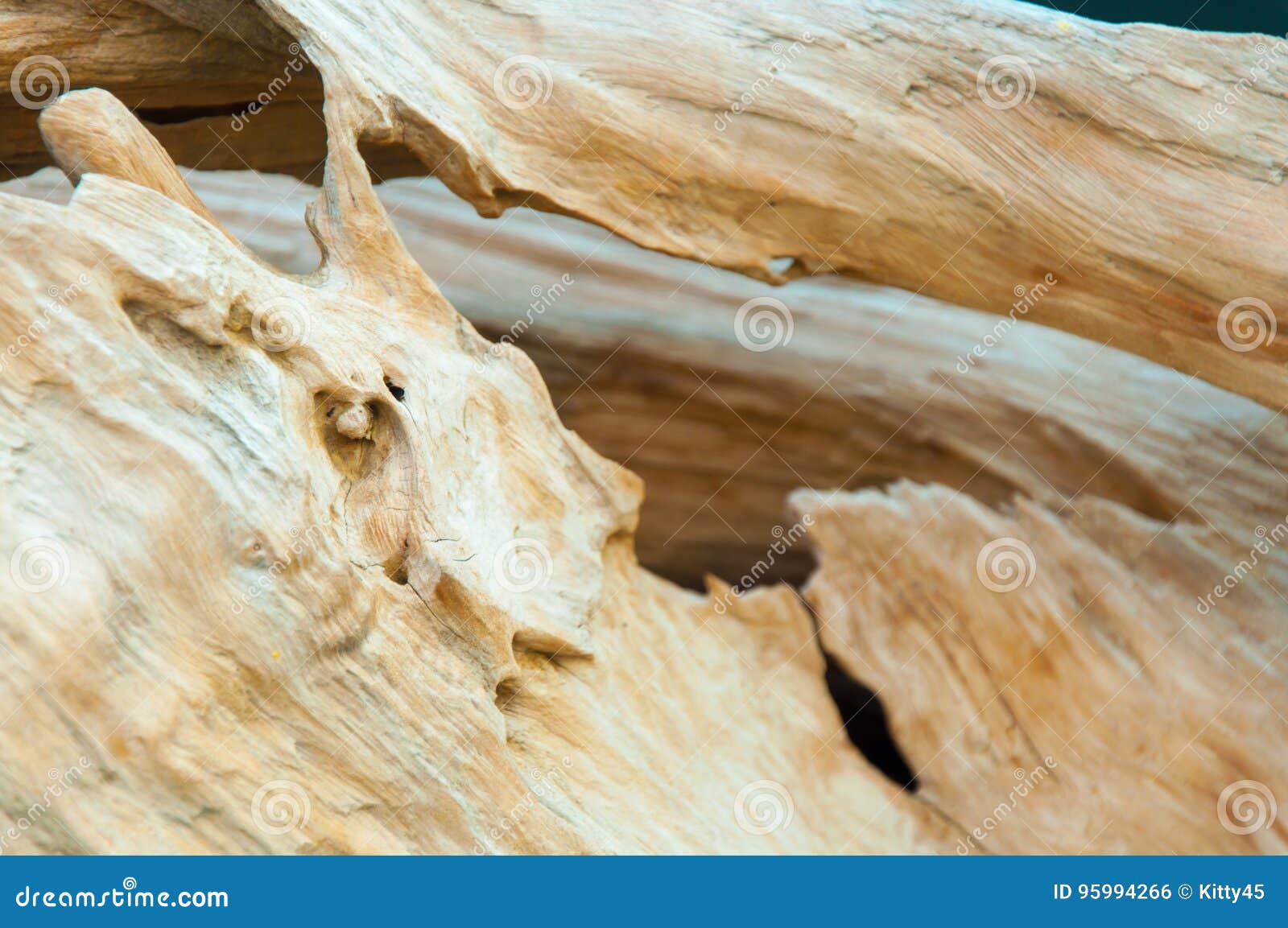 Surface Pattern of Nature Wood Stock Photo - Image of material ...
