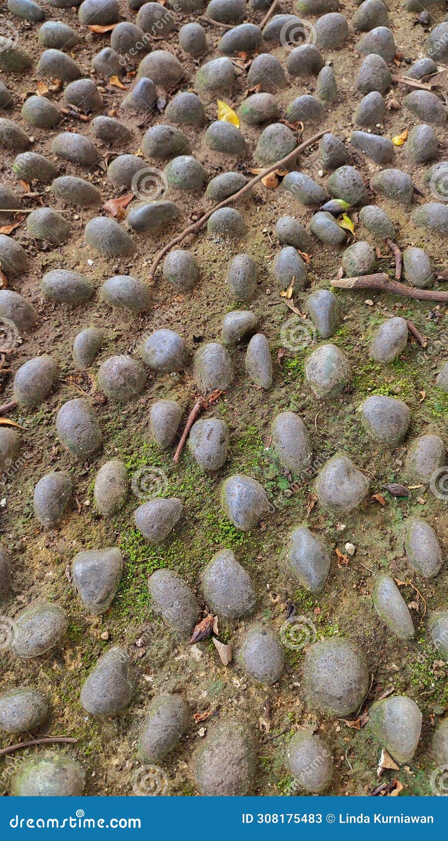 Surface of Pebble Pavement. Stock Image - Image of patio, paving: 308175483