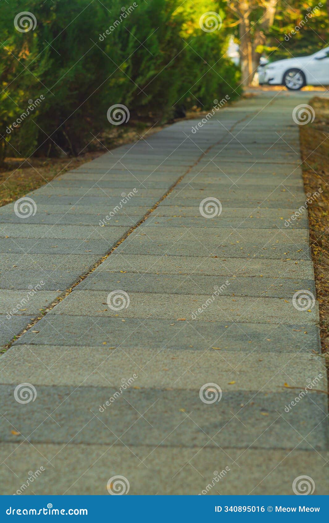 Surface of Pedestrian Walking Path from Low Angle with Perspective ...